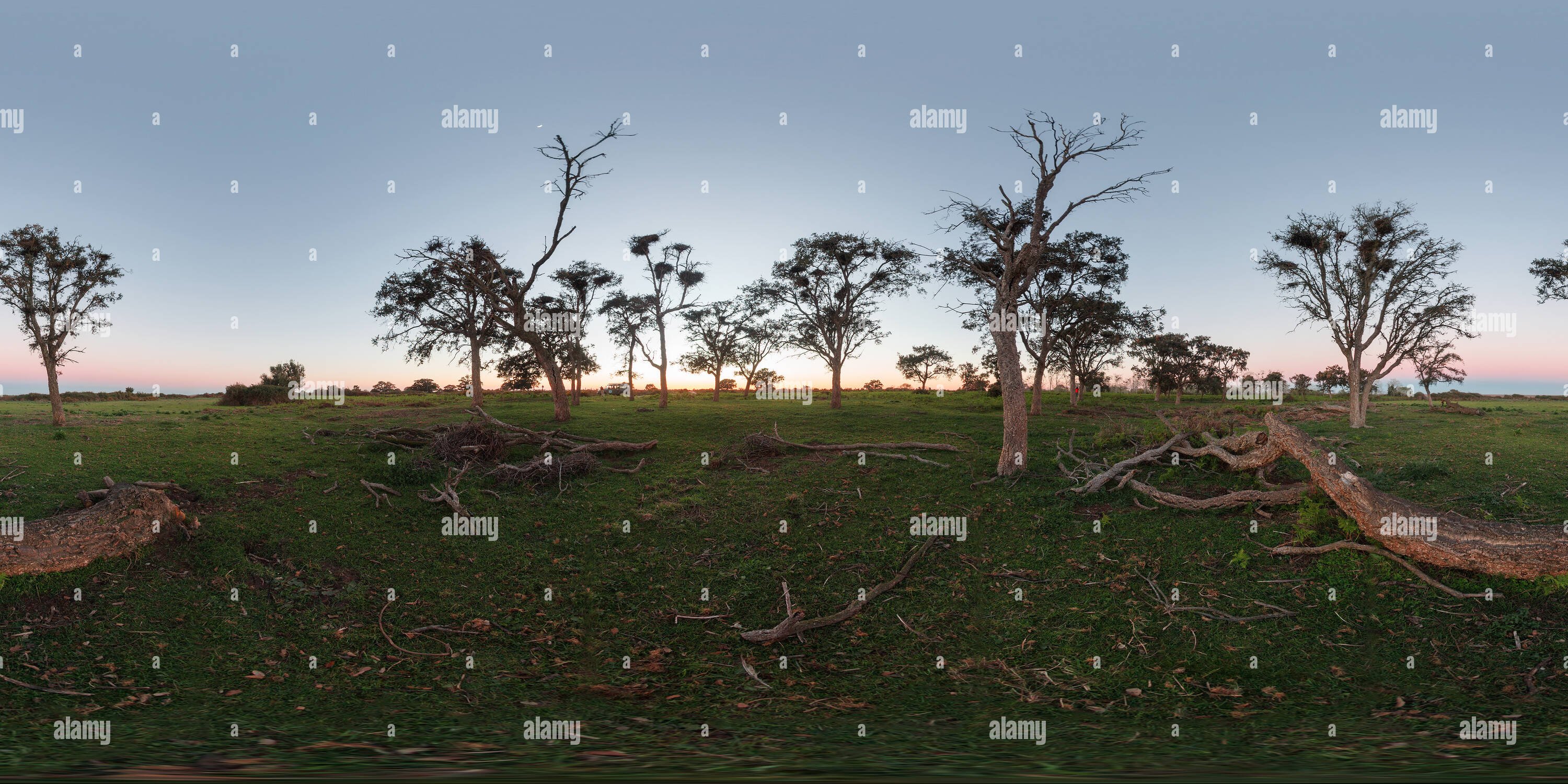 360° view of doñana national park. spain - Alamy