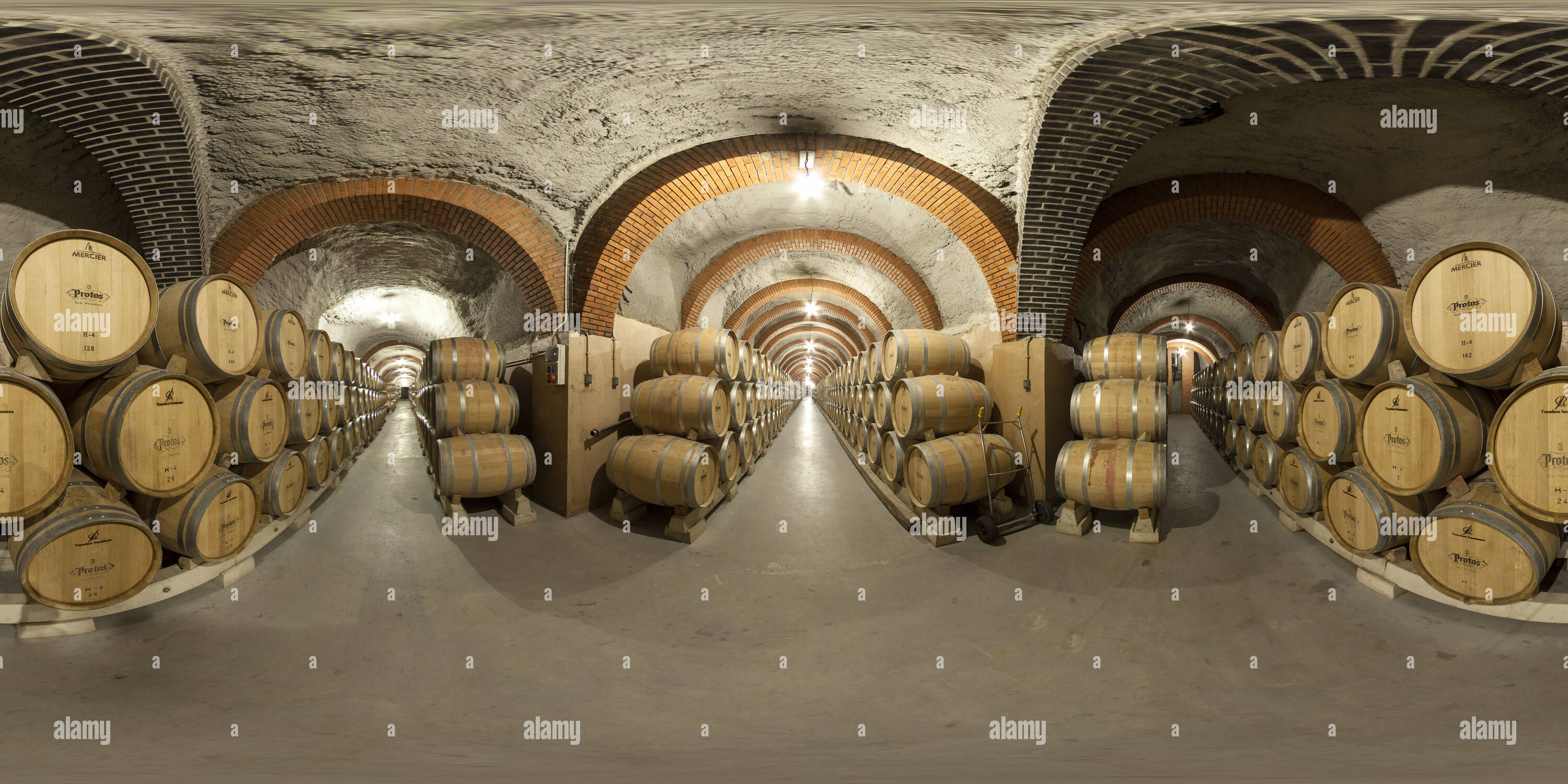 Protos hi-res stock photography and images - Alamy