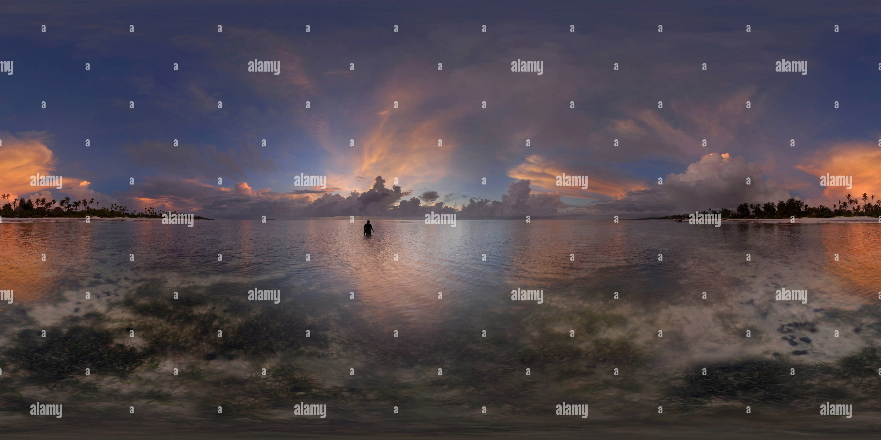 360° view of Seaweed Farmer, Matemwe Beach, Zanzibar - Alamy