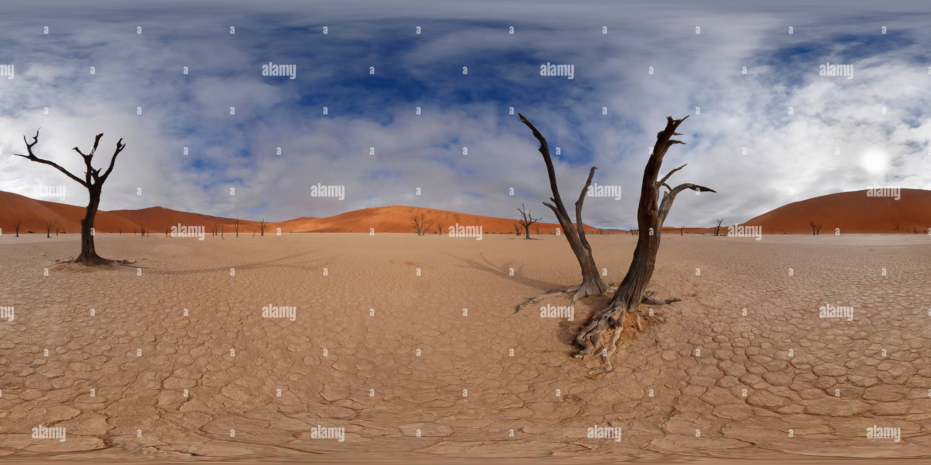360° view of Dead Vlei, Namibia - Alamy
