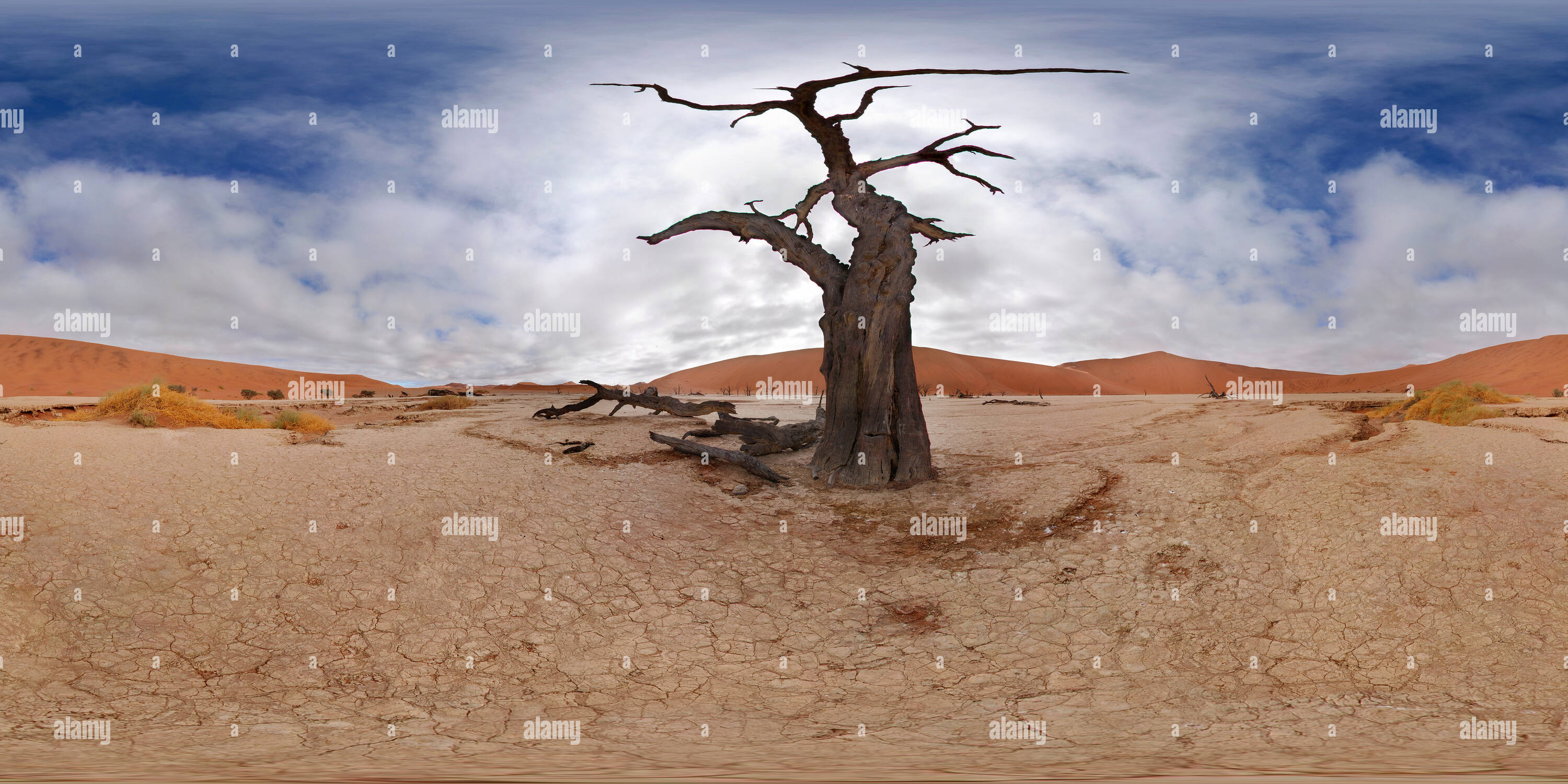 360° view of Dead Vlei, Namibia - Alamy