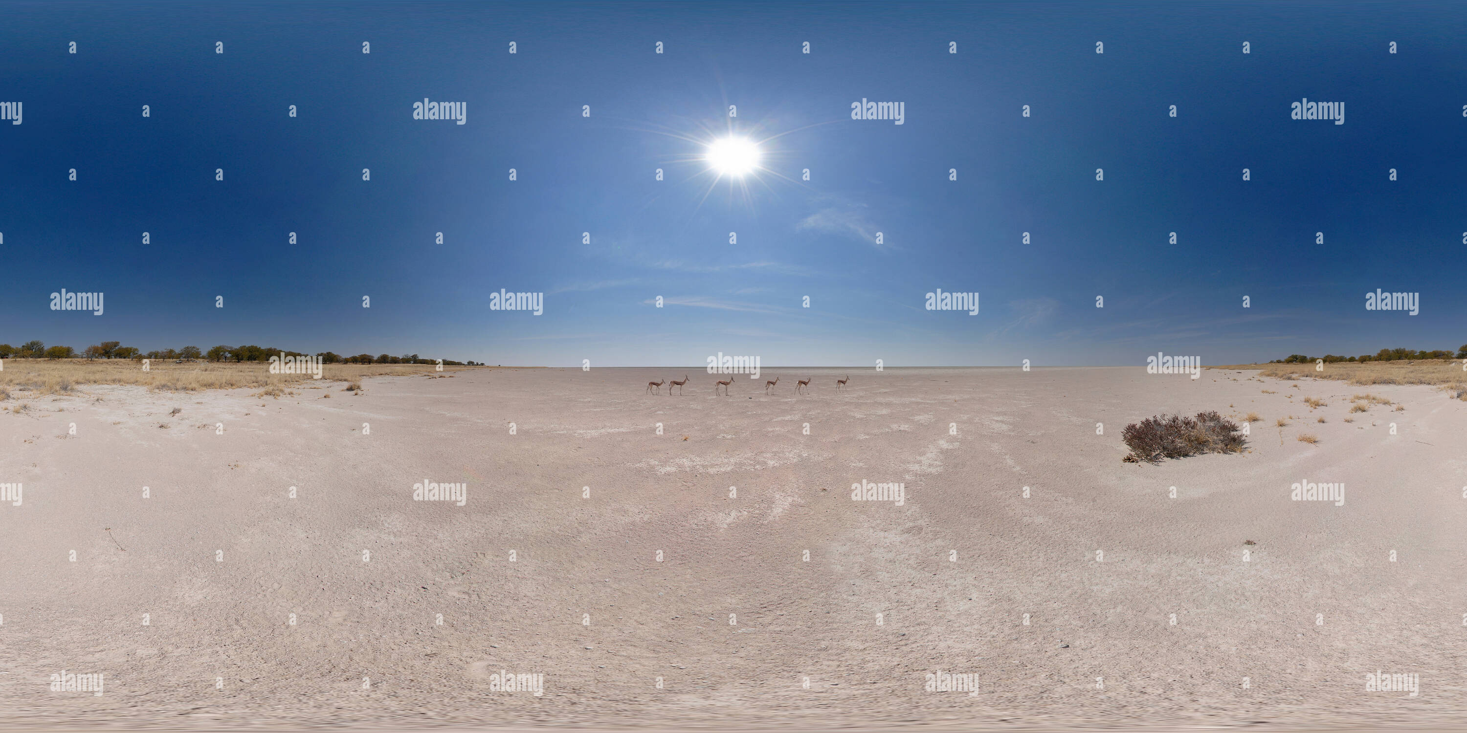 360° view of Etosha Pan, Namibia - Alamy