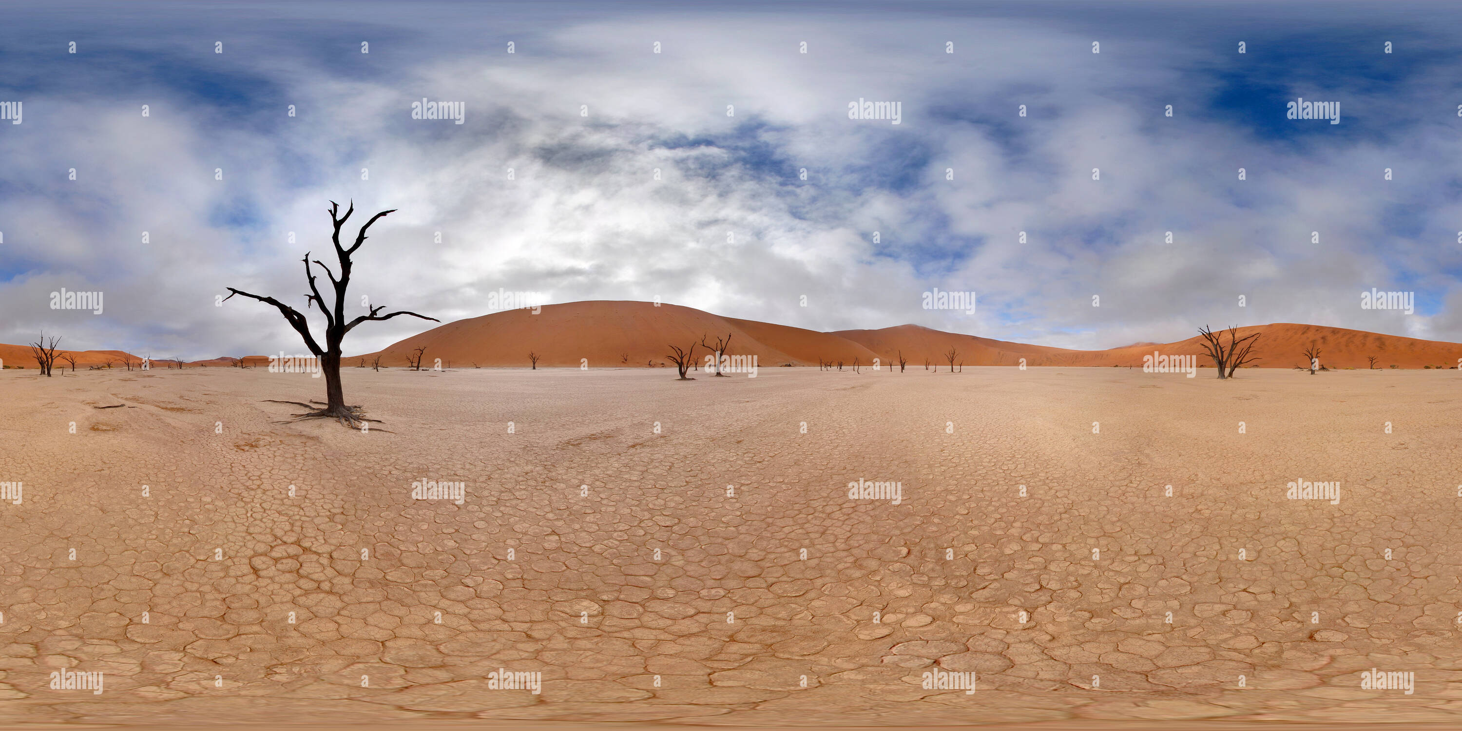 360° view of Dead Vlei, Namibia - Alamy