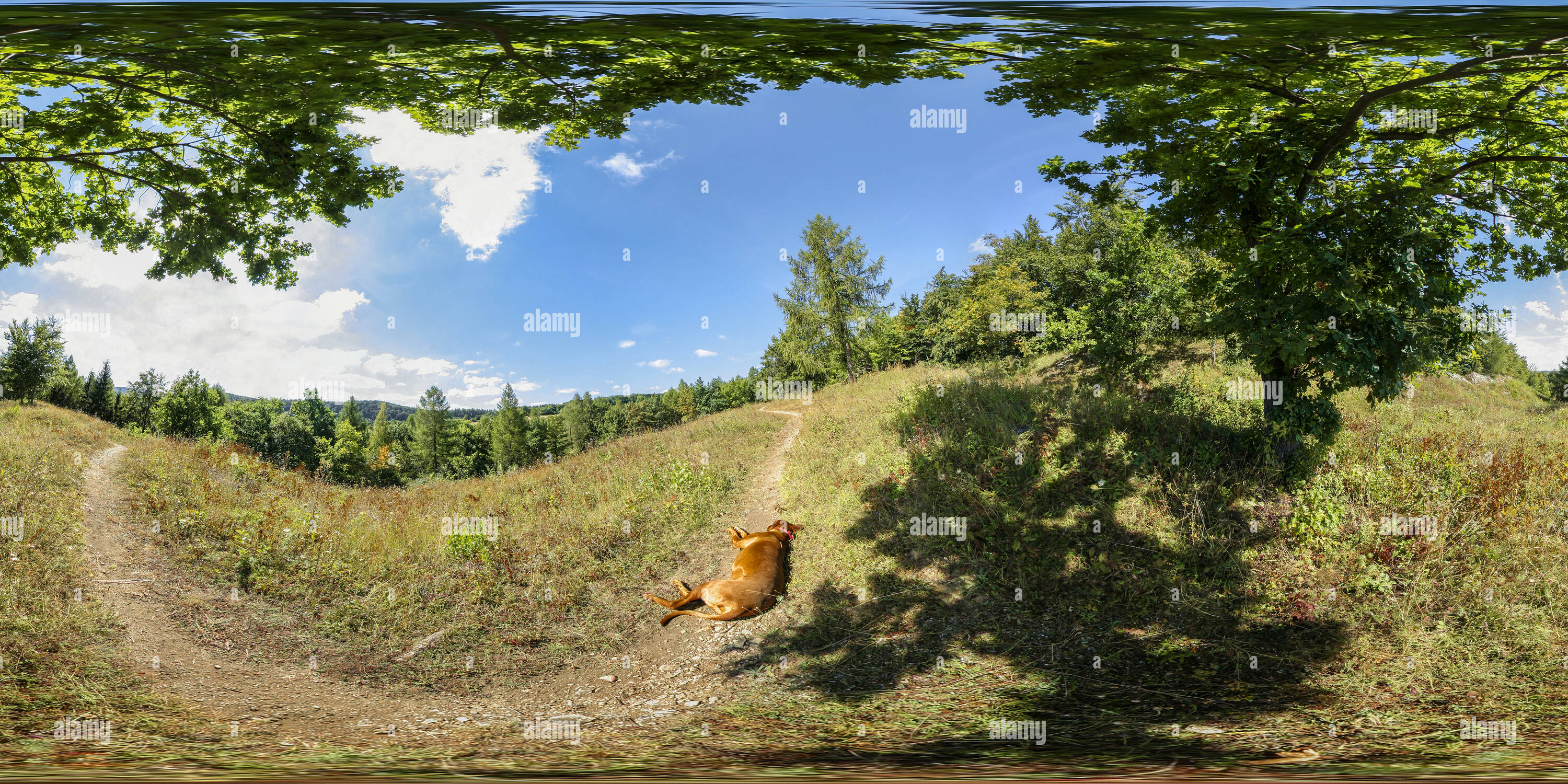 Ziegenberg hi-res stock photography and images - Alamy