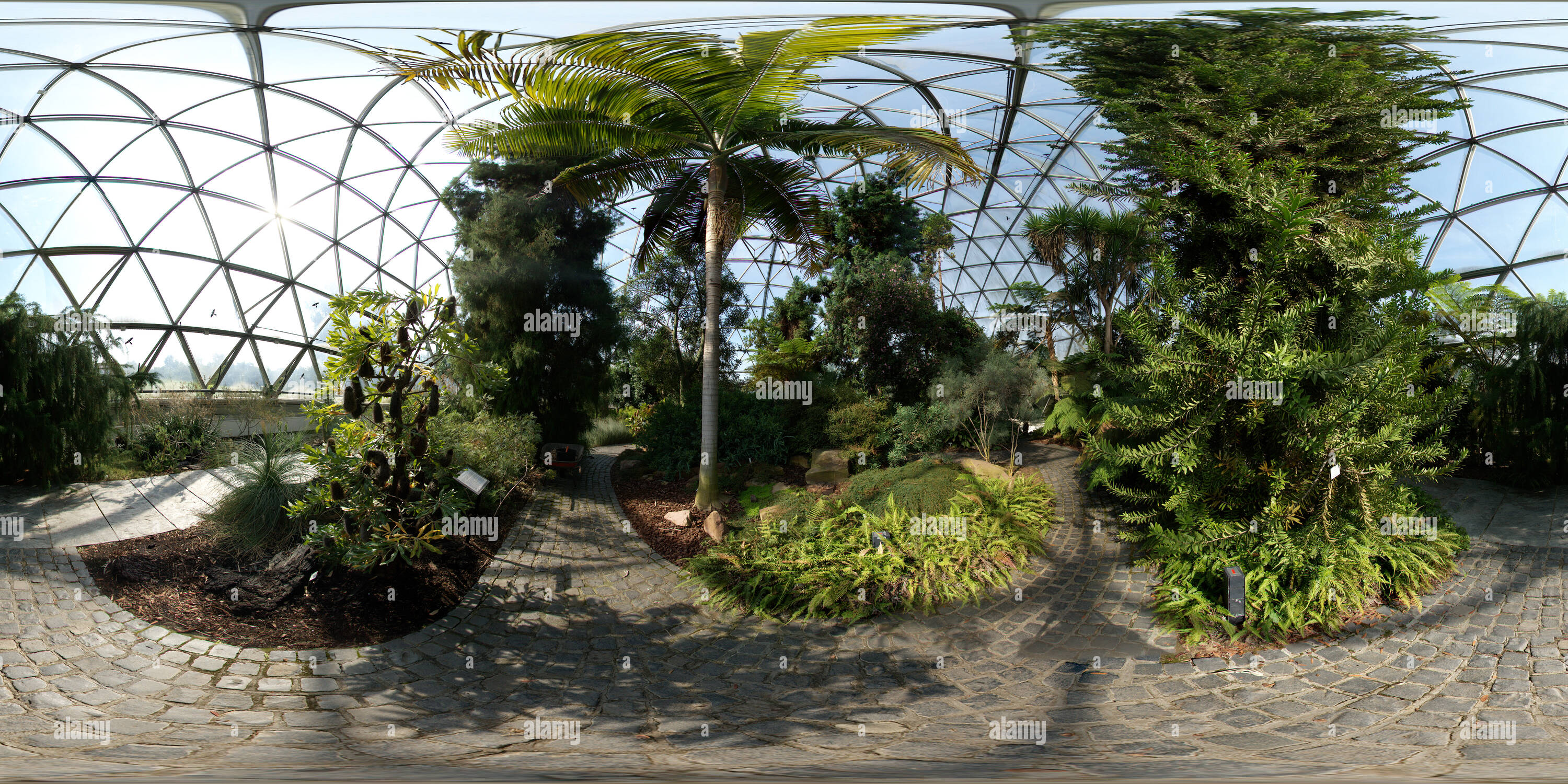Spherical greenhouse hi-res stock photography and images - Alamy