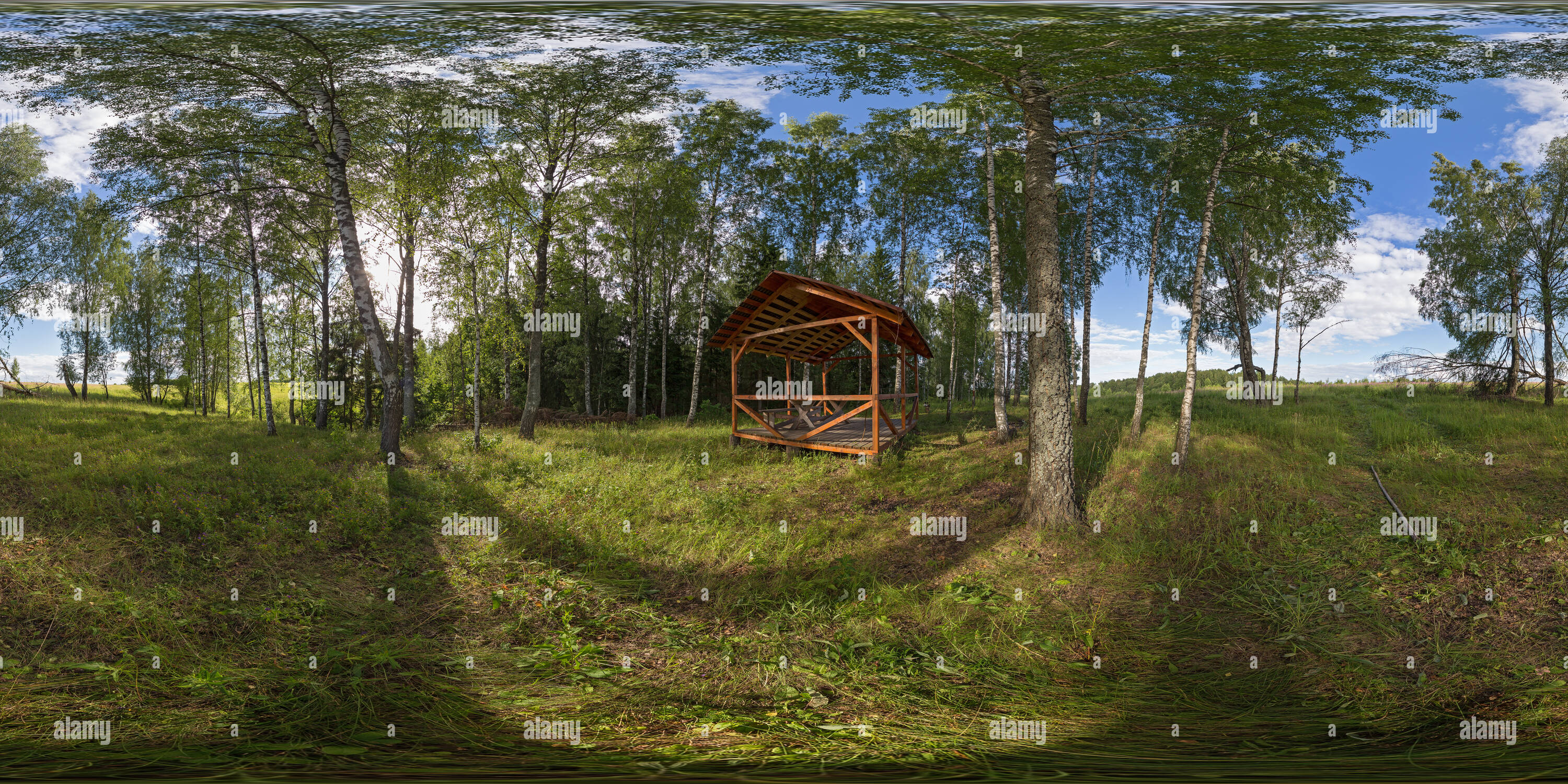 360° view of gazebo in the forest - Alamy