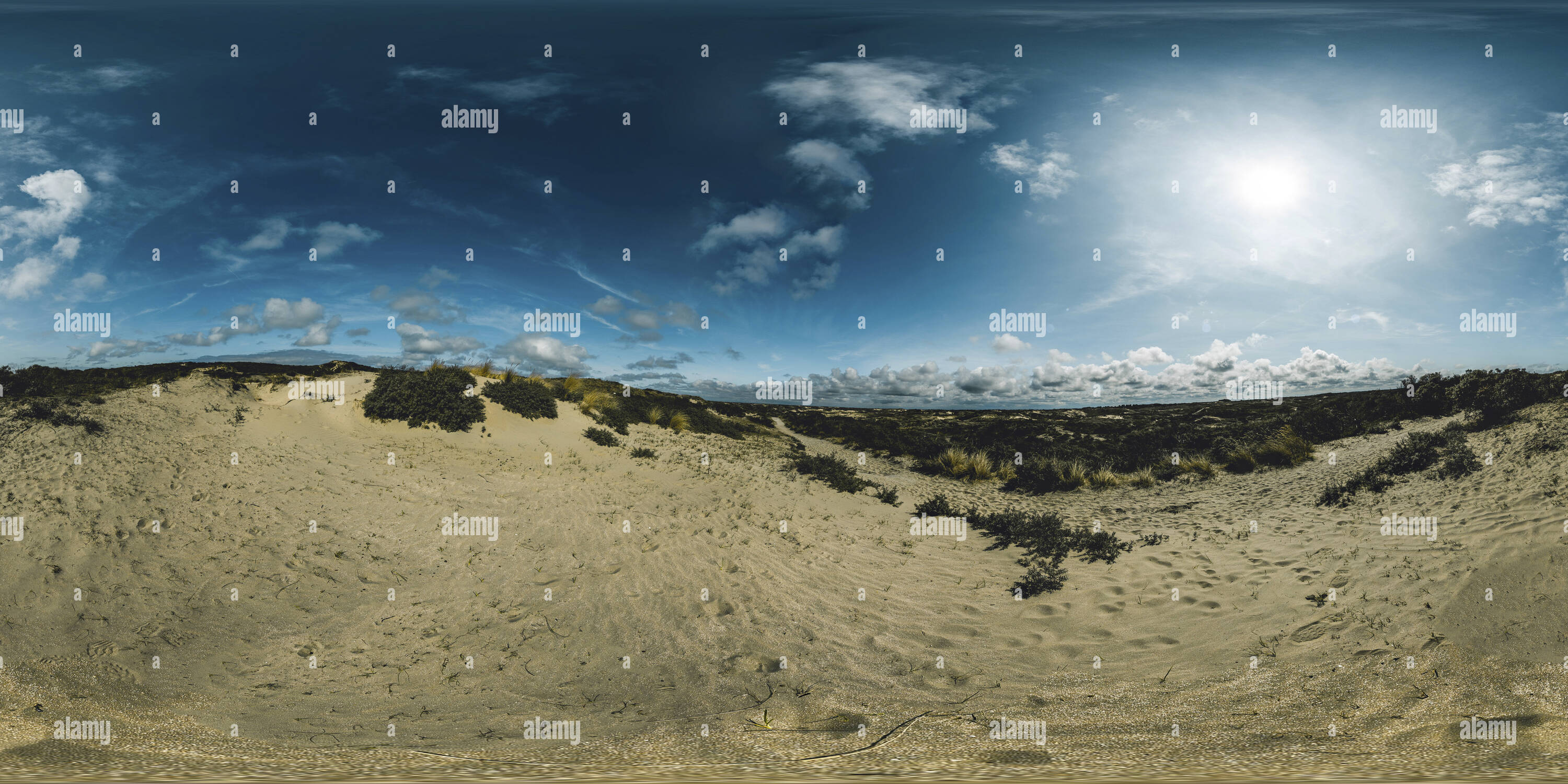 360° view of In the dunes - Alamy