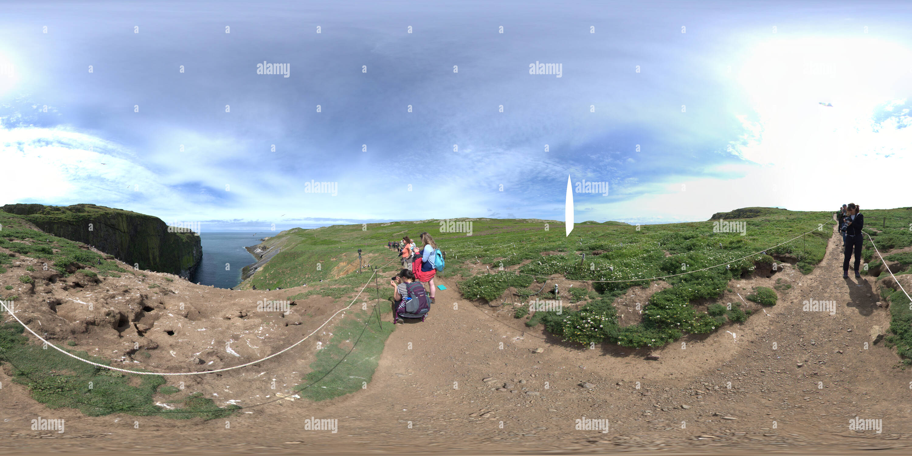 360° view of The Wick, Skomer Island, Wales - Alamy