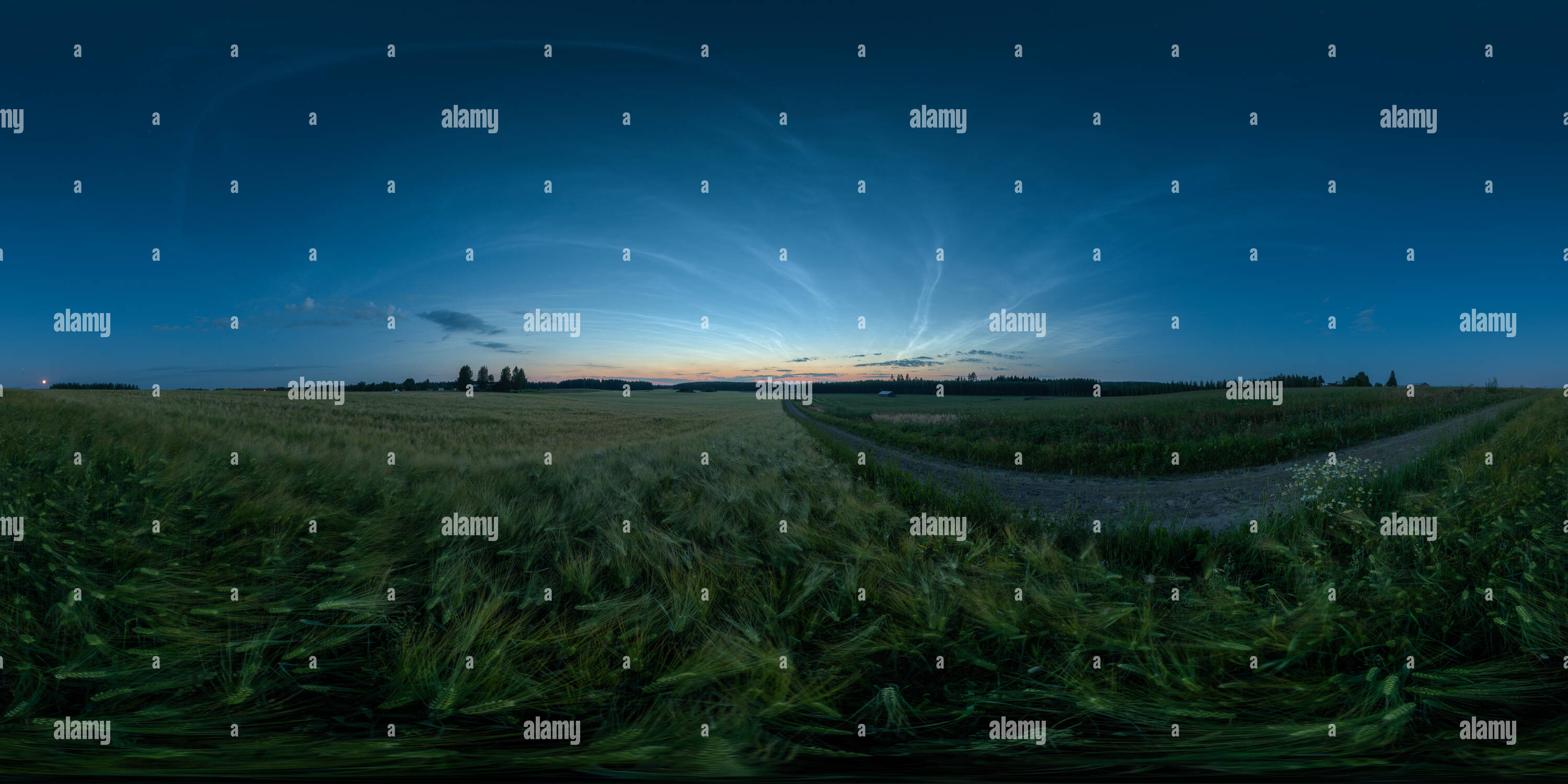 Exceptionally bright hi-res stock photography and images - Alamy