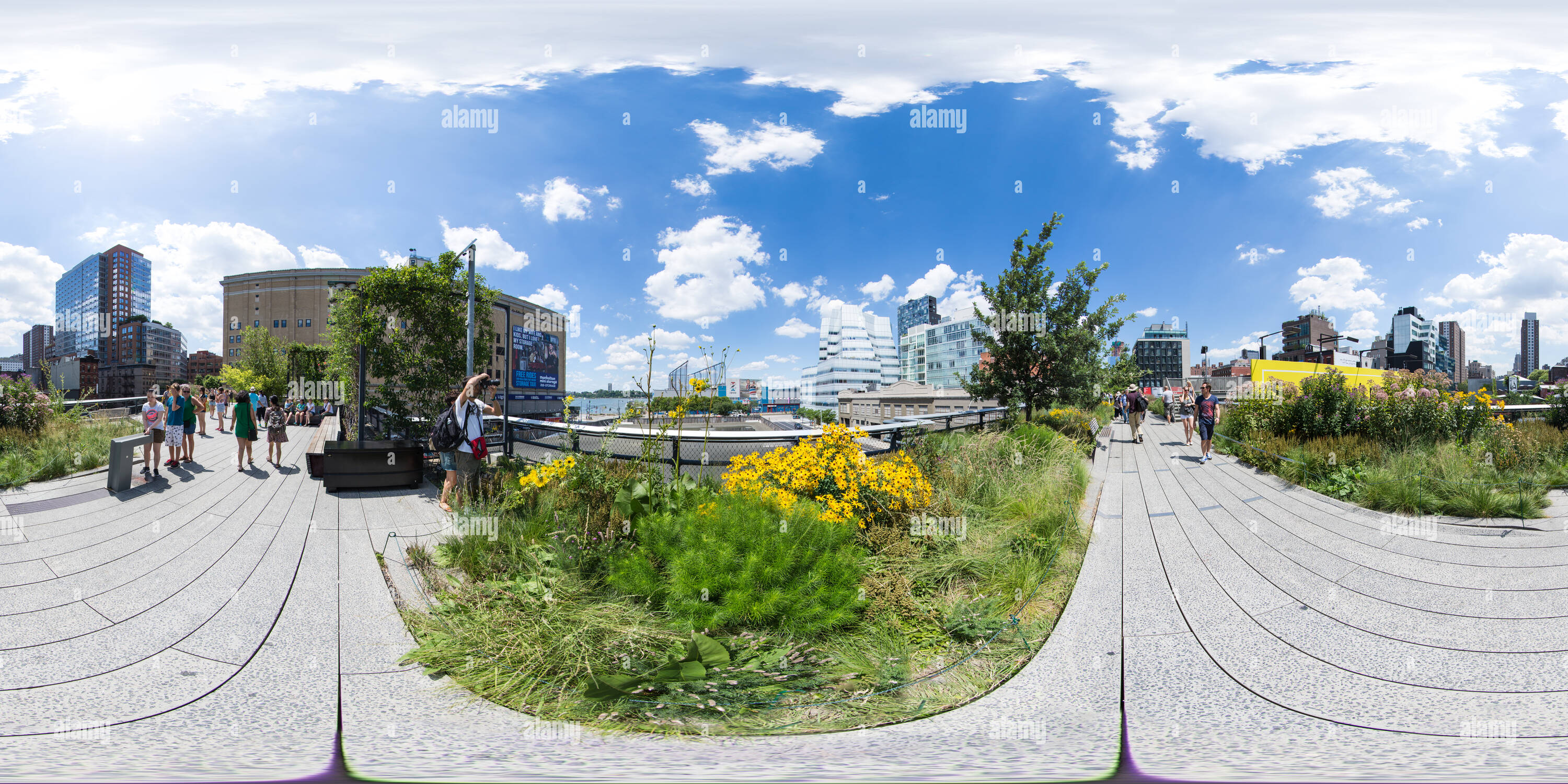 360° view of New York City High Line - Alamy