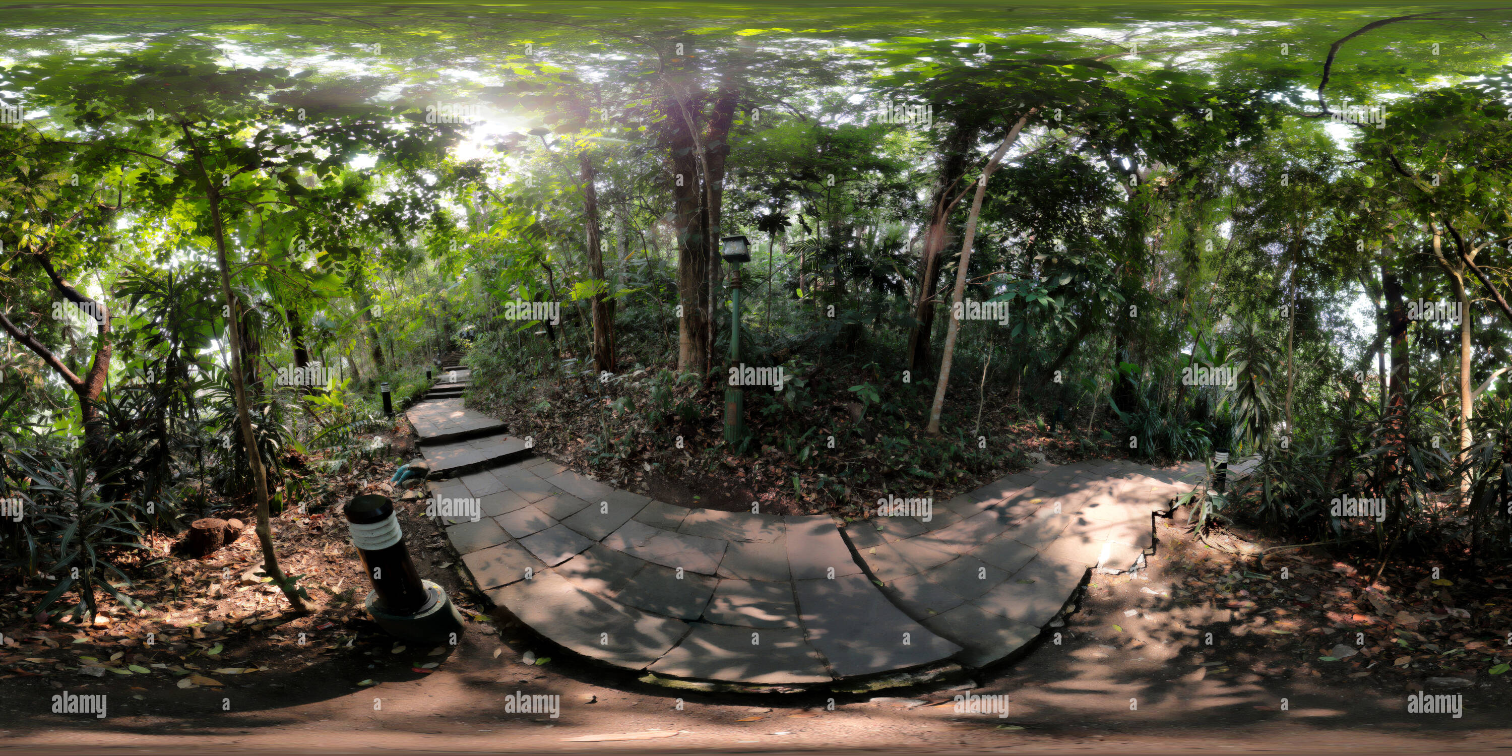 360° view of Jungle Pathway - Thailand - Alamy