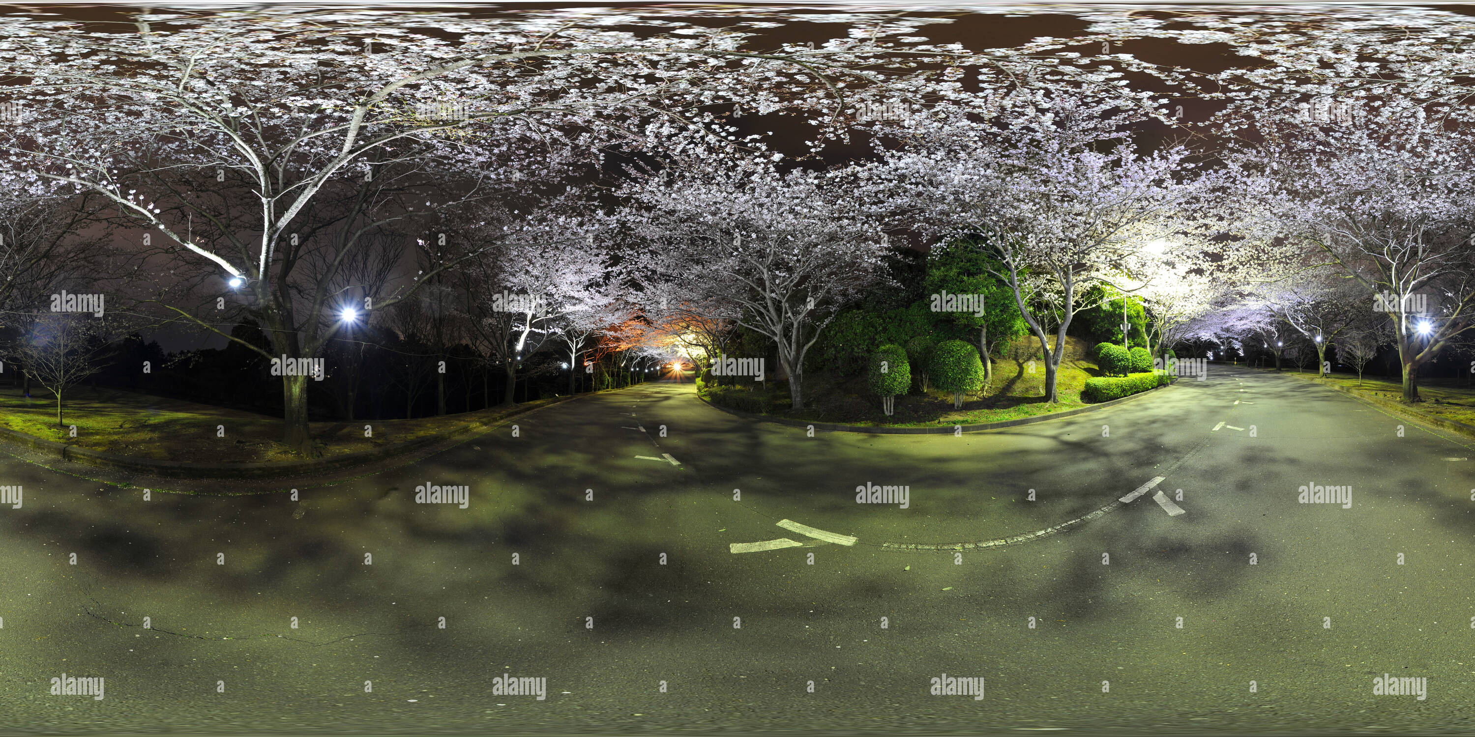 Ashitaka hi-res stock photography and images - Alamy