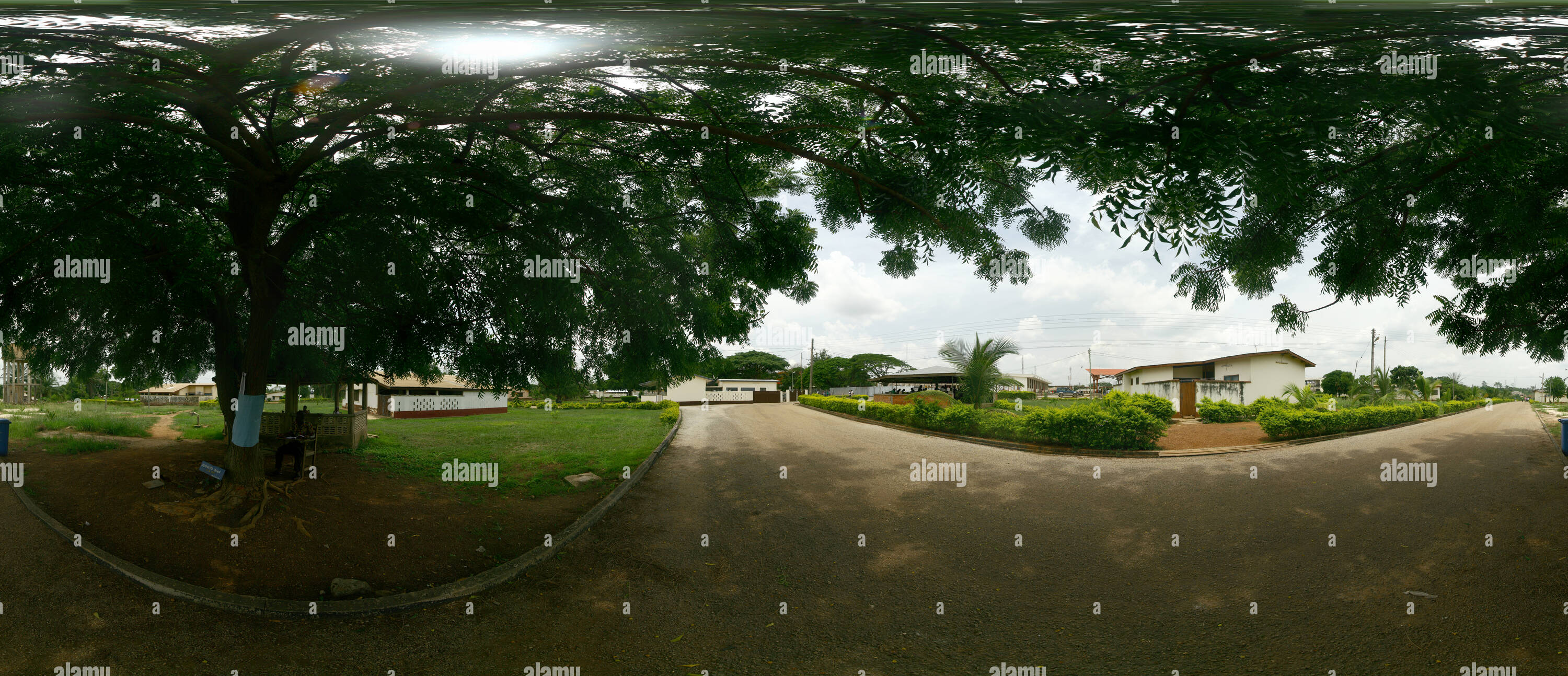 360° view of Studying under the Neem-tree - Alamy
