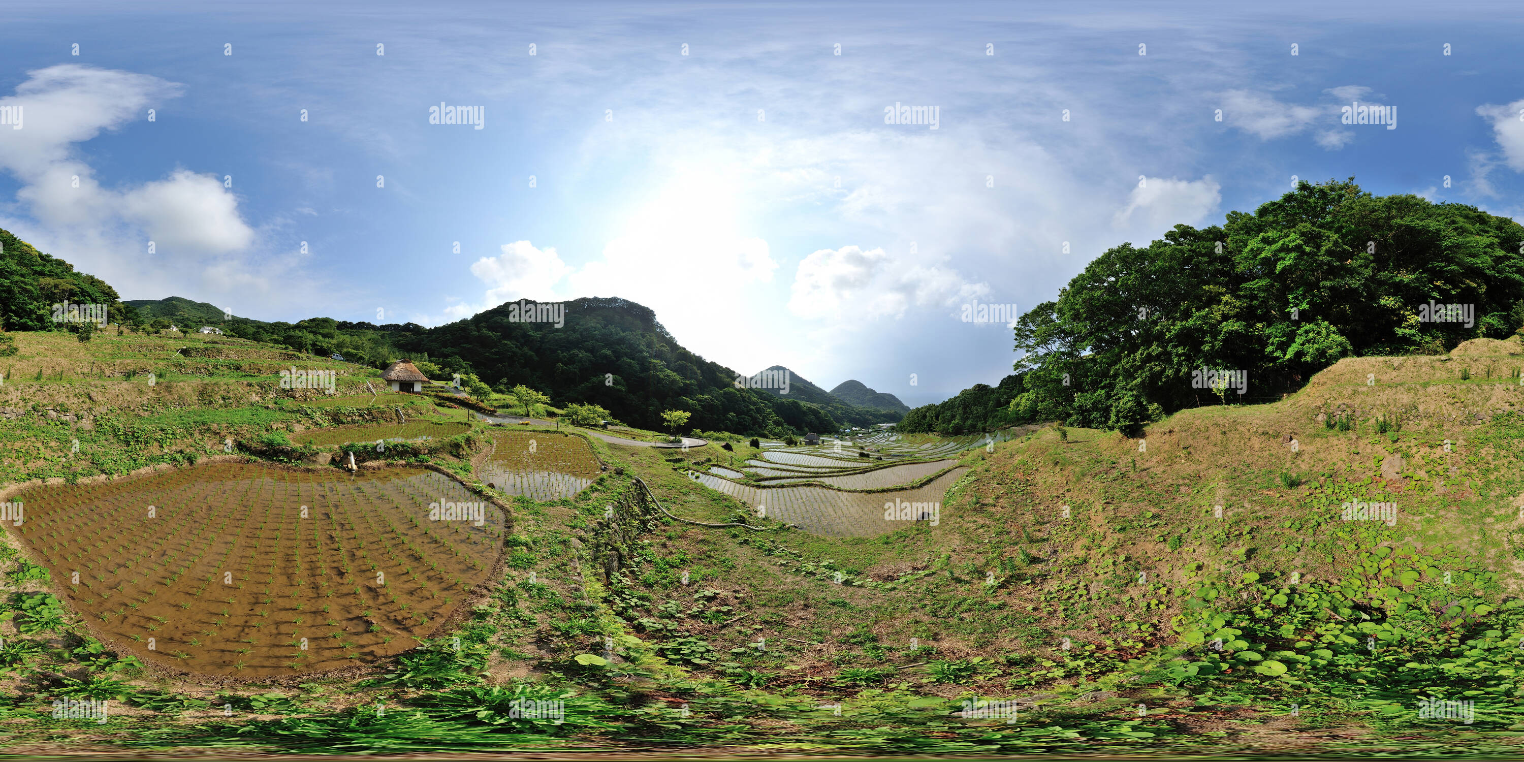 Tanada izu hi-res stock photography and images - Alamy