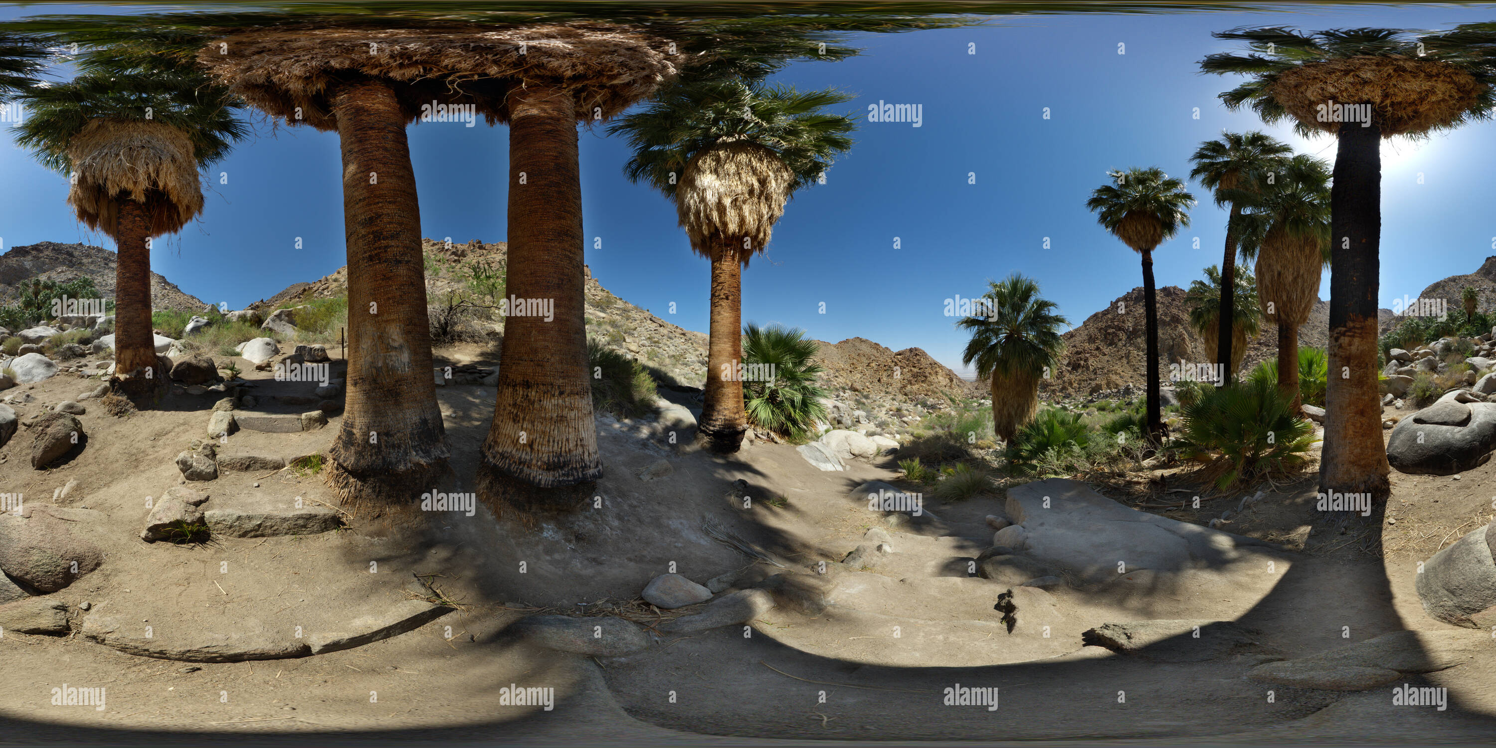 360° view of Fortynine Palms Oasis, Joshua Tree National Park ...