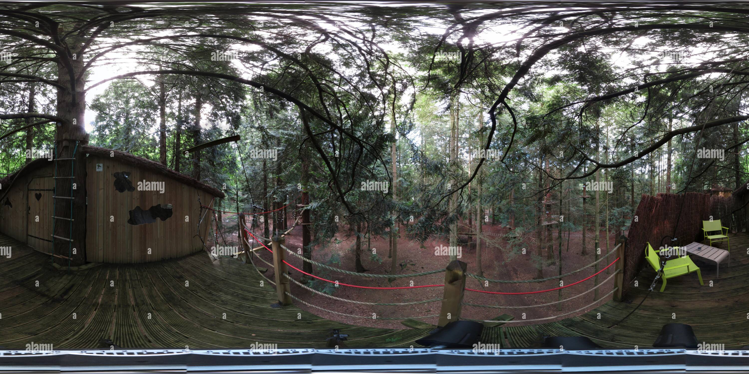 360° view of Tree house in brittany - Alamy