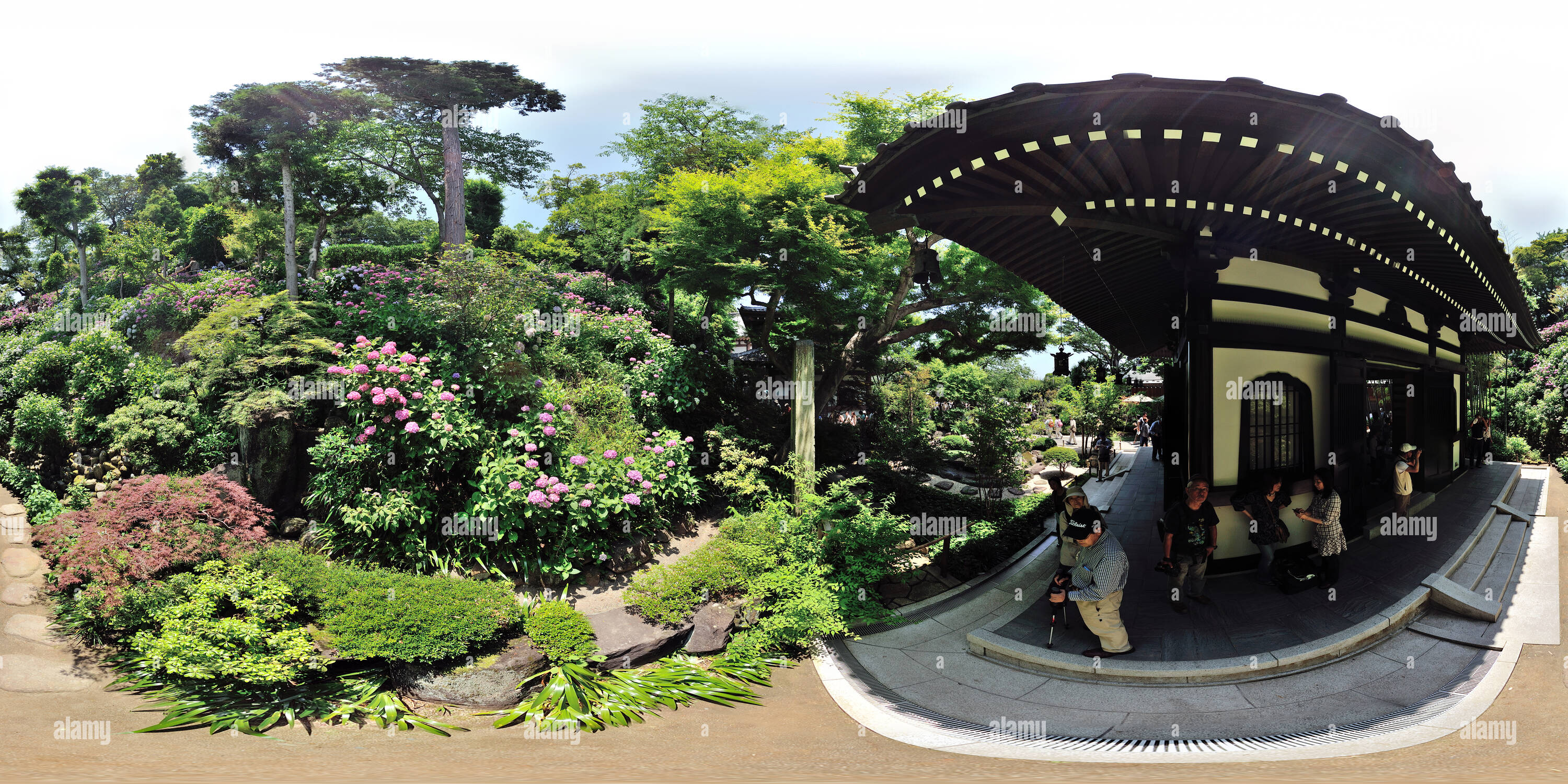 Kyou hi-res stock photography and images - Alamy