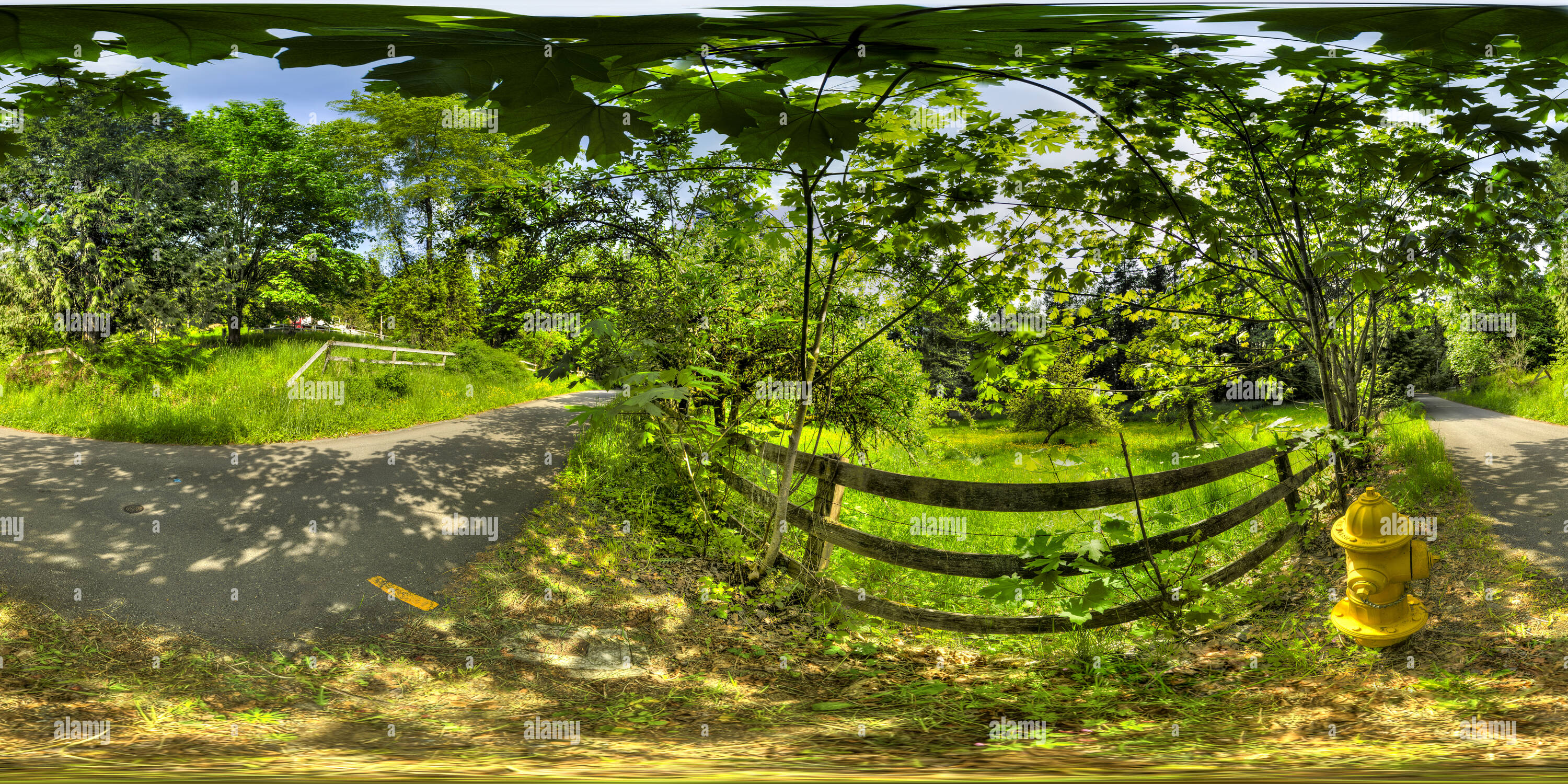 360° view of Roadside Meadow, Newcastle, Washington - Alamy