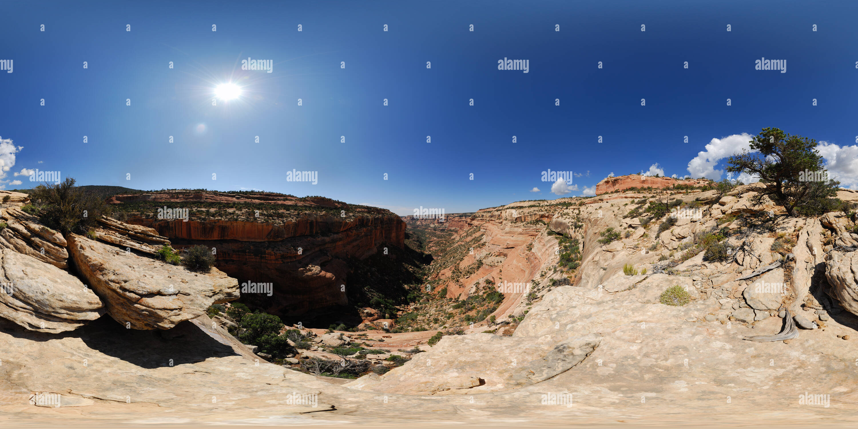 360° view of Arch Canyon, San Juan County, Utah, USA - Alamy