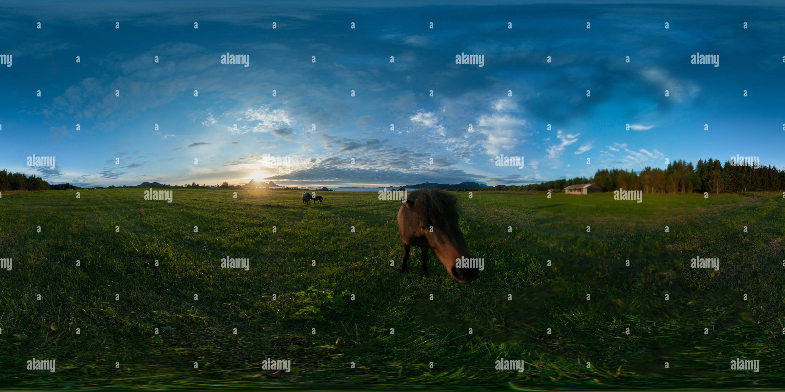 360° view of Hestmannen og andre hester - Alamy 360° view of Hestmannen og andre hester - Alamy
