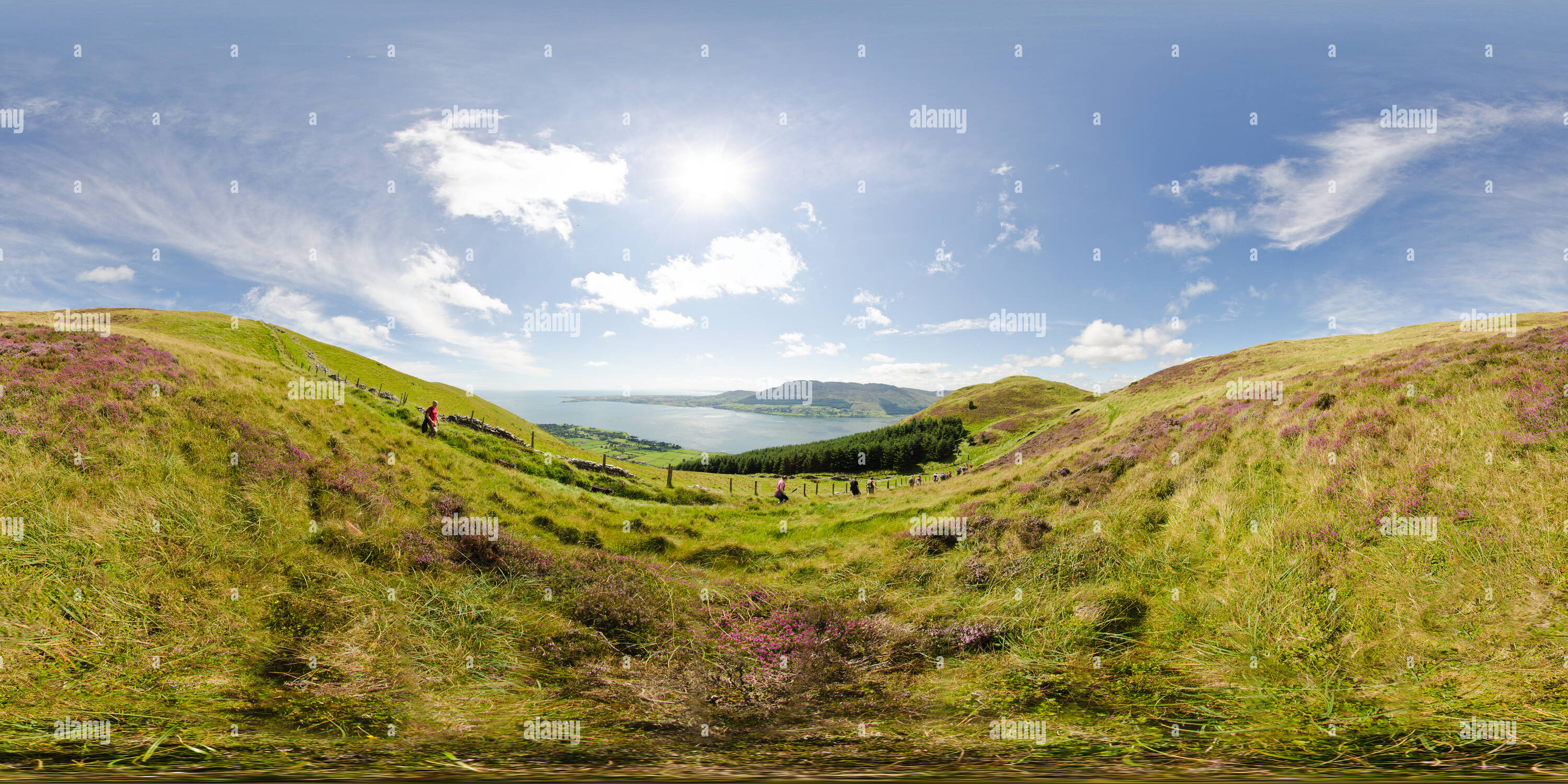 Rostrevor Northern Ireland Stock Photos & Rostrevor Northern Ireland ...