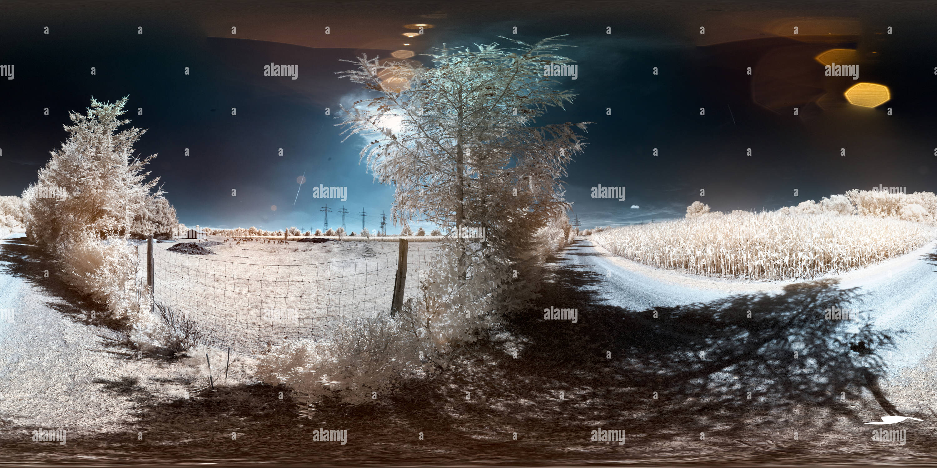 360° view of deer enclosure at Großmehring in infrared - Alamy