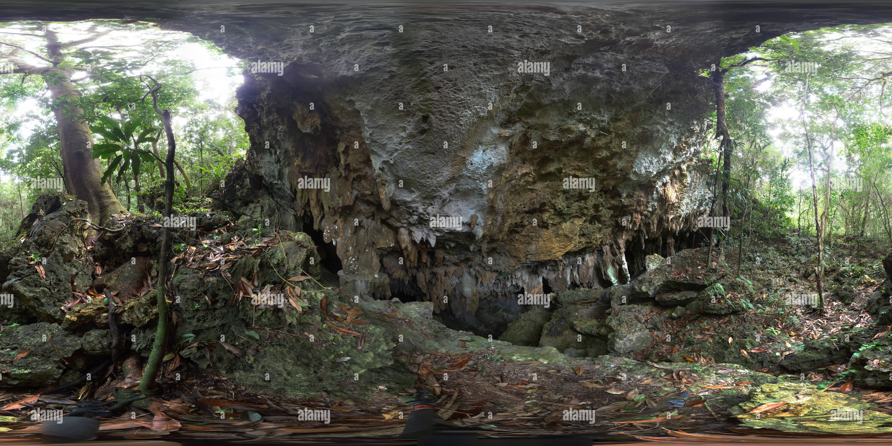 Grotte caverne hi-res stock photography and images - Alamy