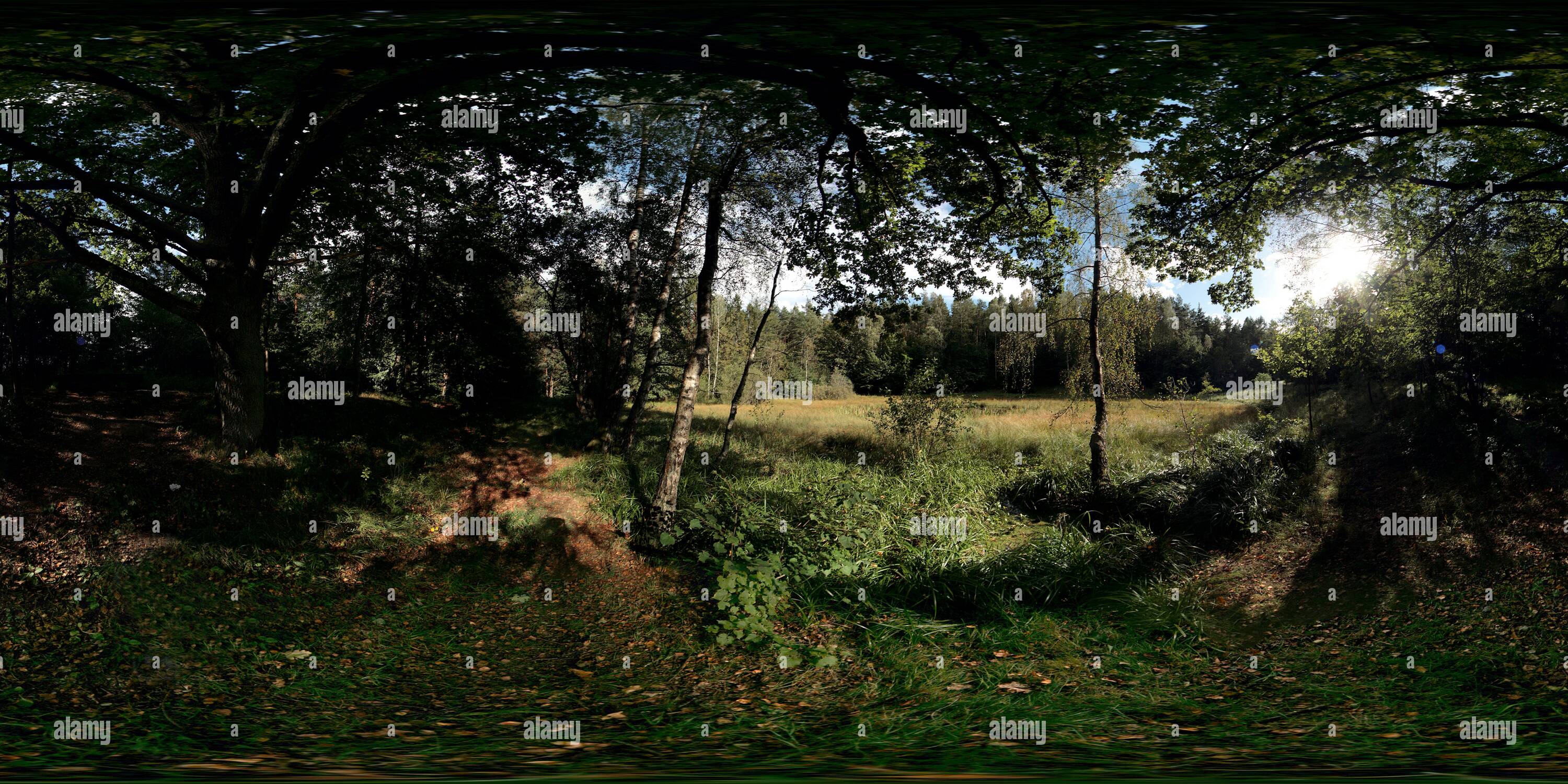 360° view of Slough on small glade Krykulec 2 - Alamy