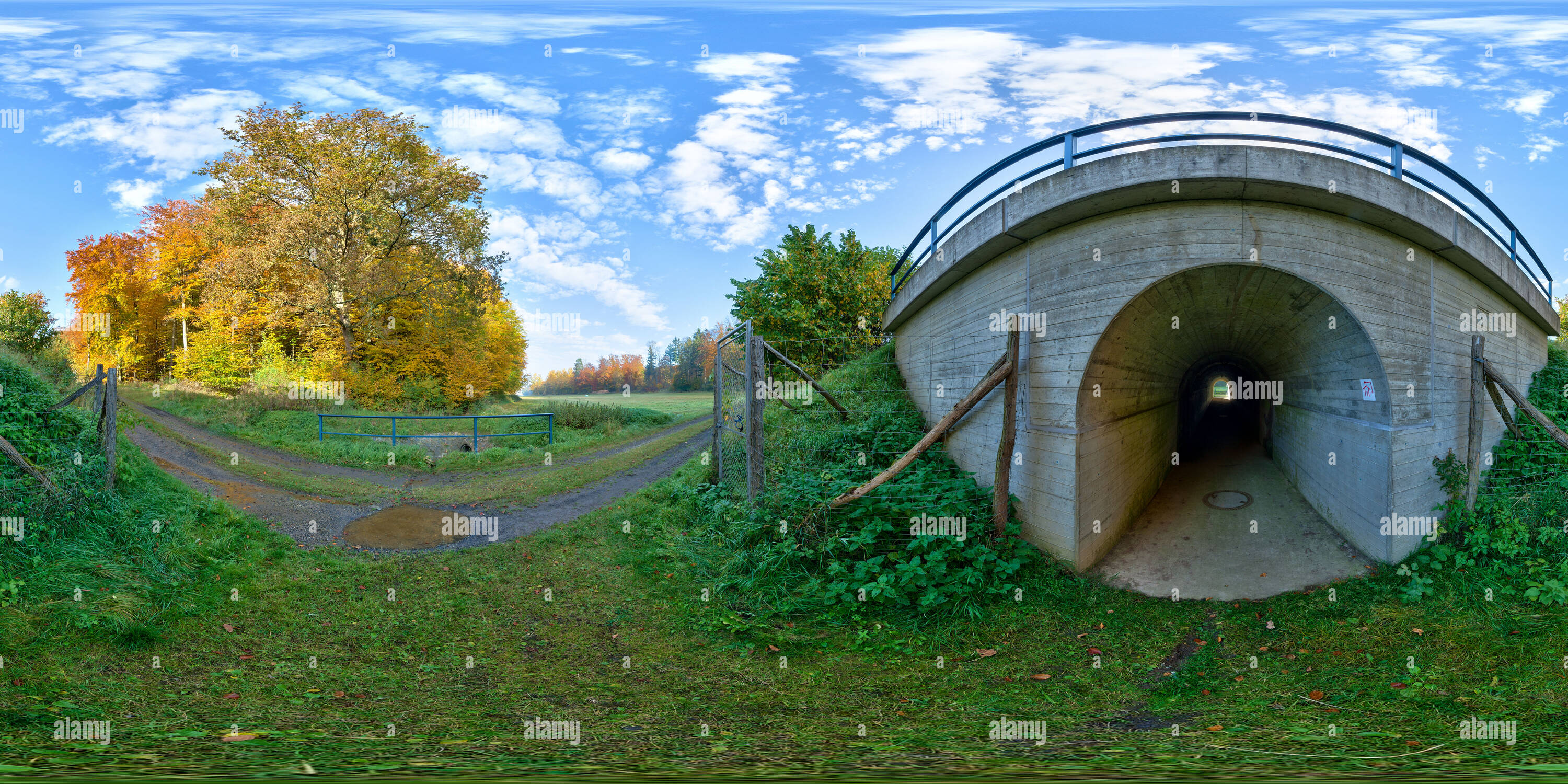 Wildtunnel hi-res stock photography and images - Alamy