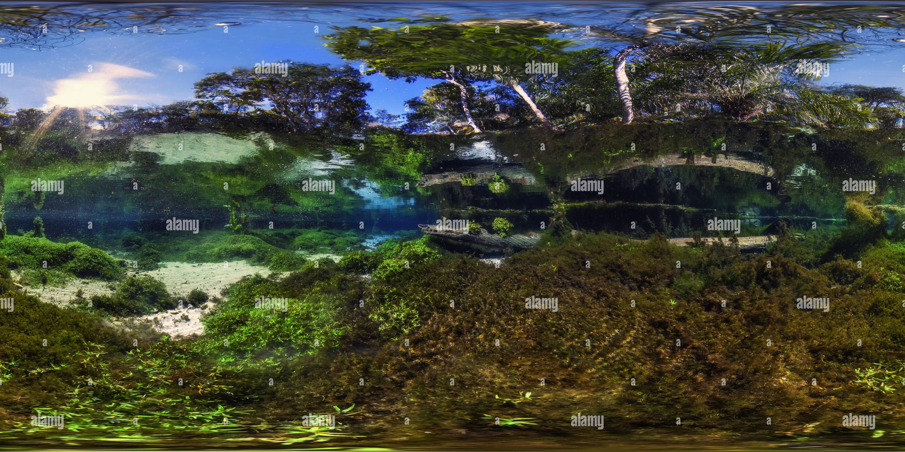 360° view of Blue Spring of Bonito River - Alamy