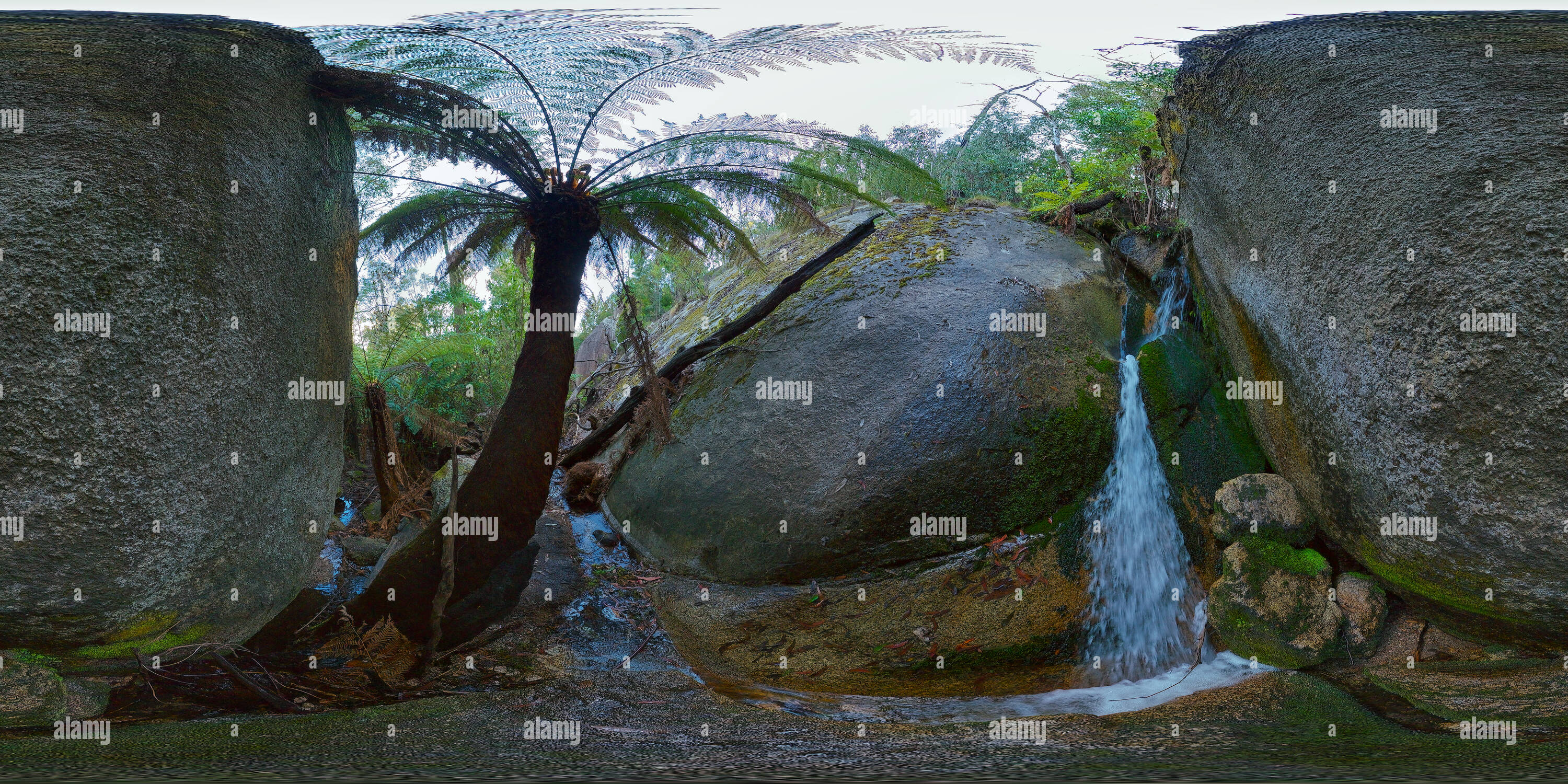 360° view of Tidbinbilla NR - Cascades Trail - Alamy