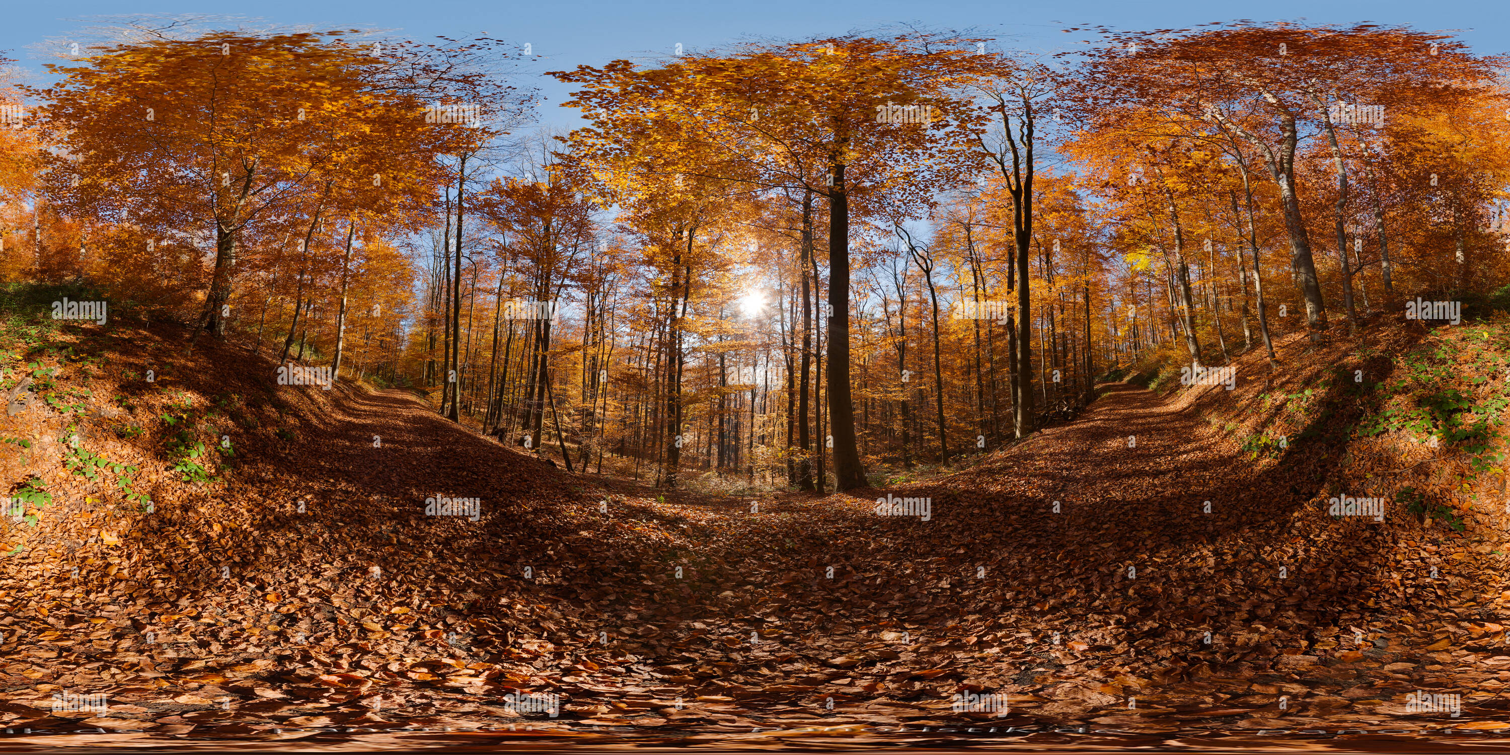 Nammer lager hi-res stock photography and images - Alamy