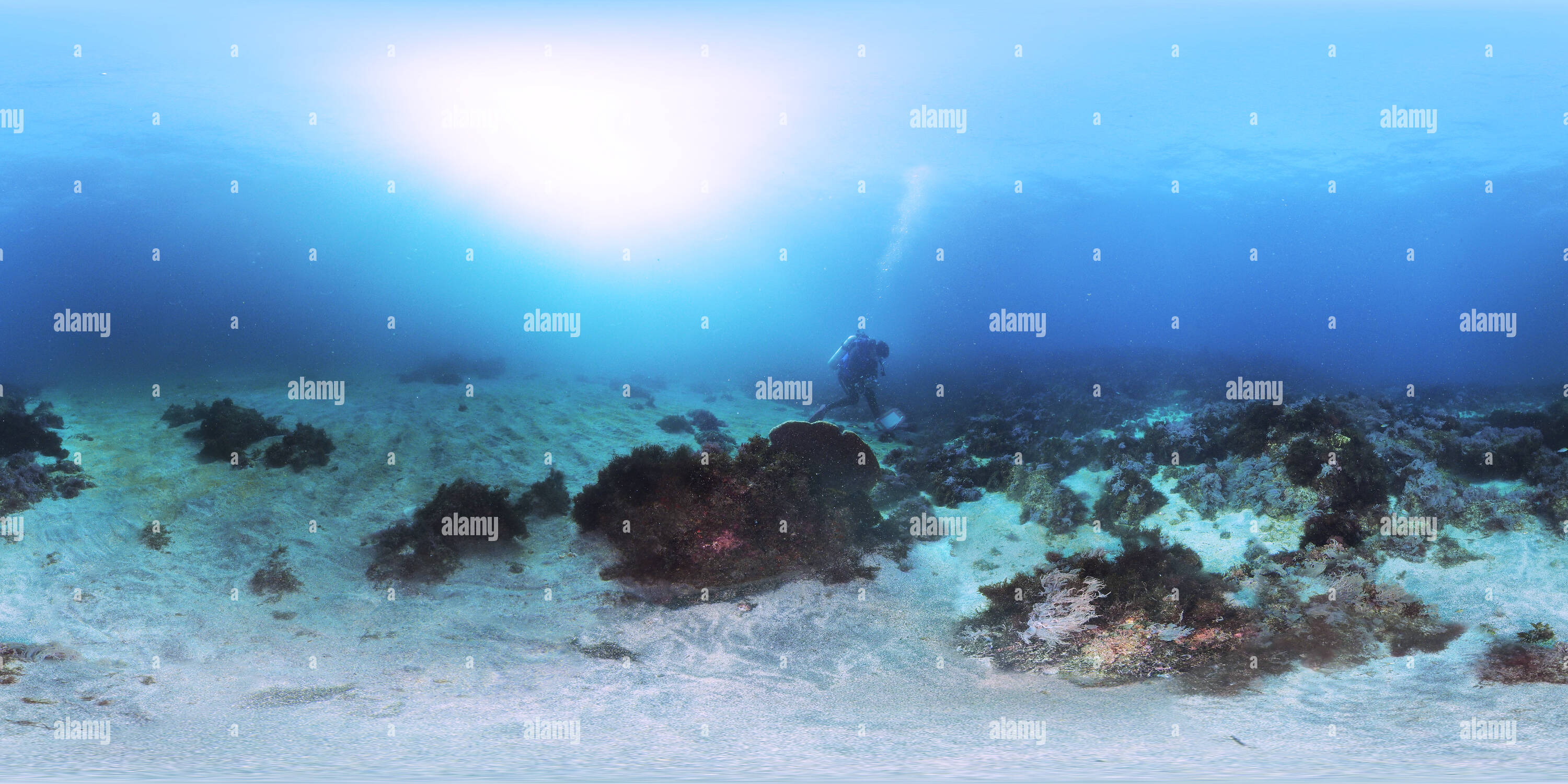 360° view of Izu Futo Diving point Yokobama 1 - Alamy