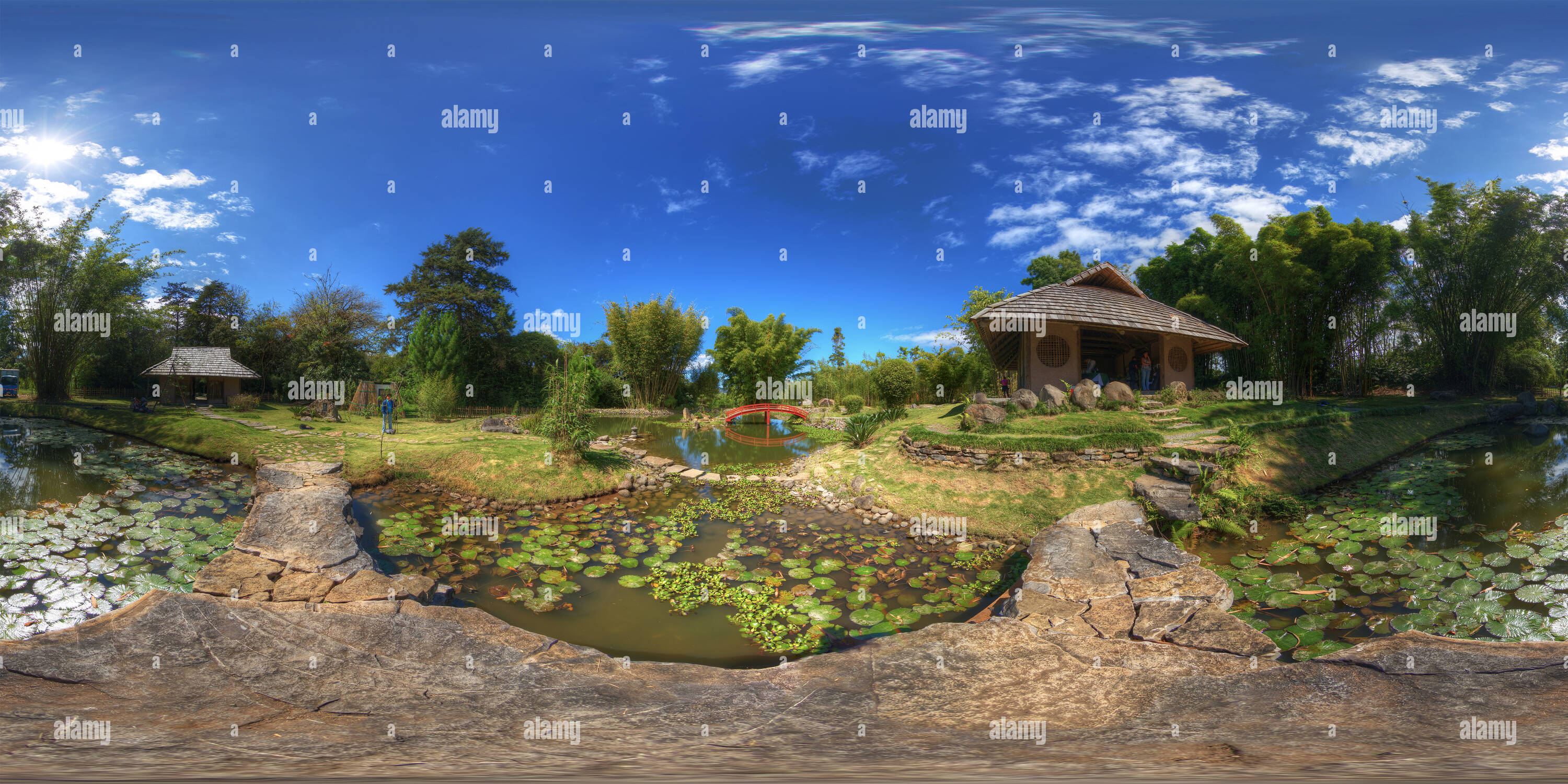 Lankester hi-res stock photography and images - Alamy