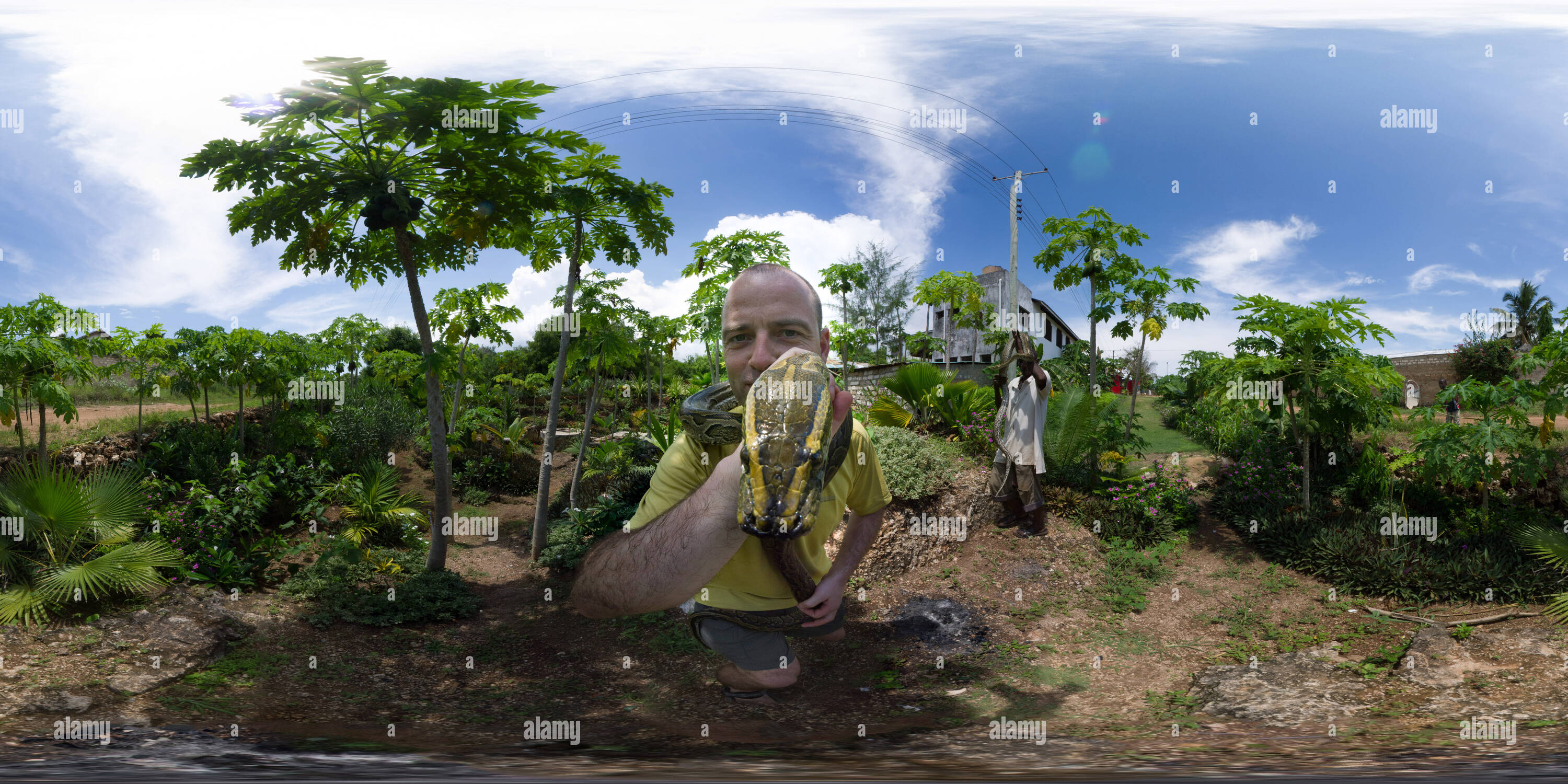 360° view of Snake Farm 3 - Alamy