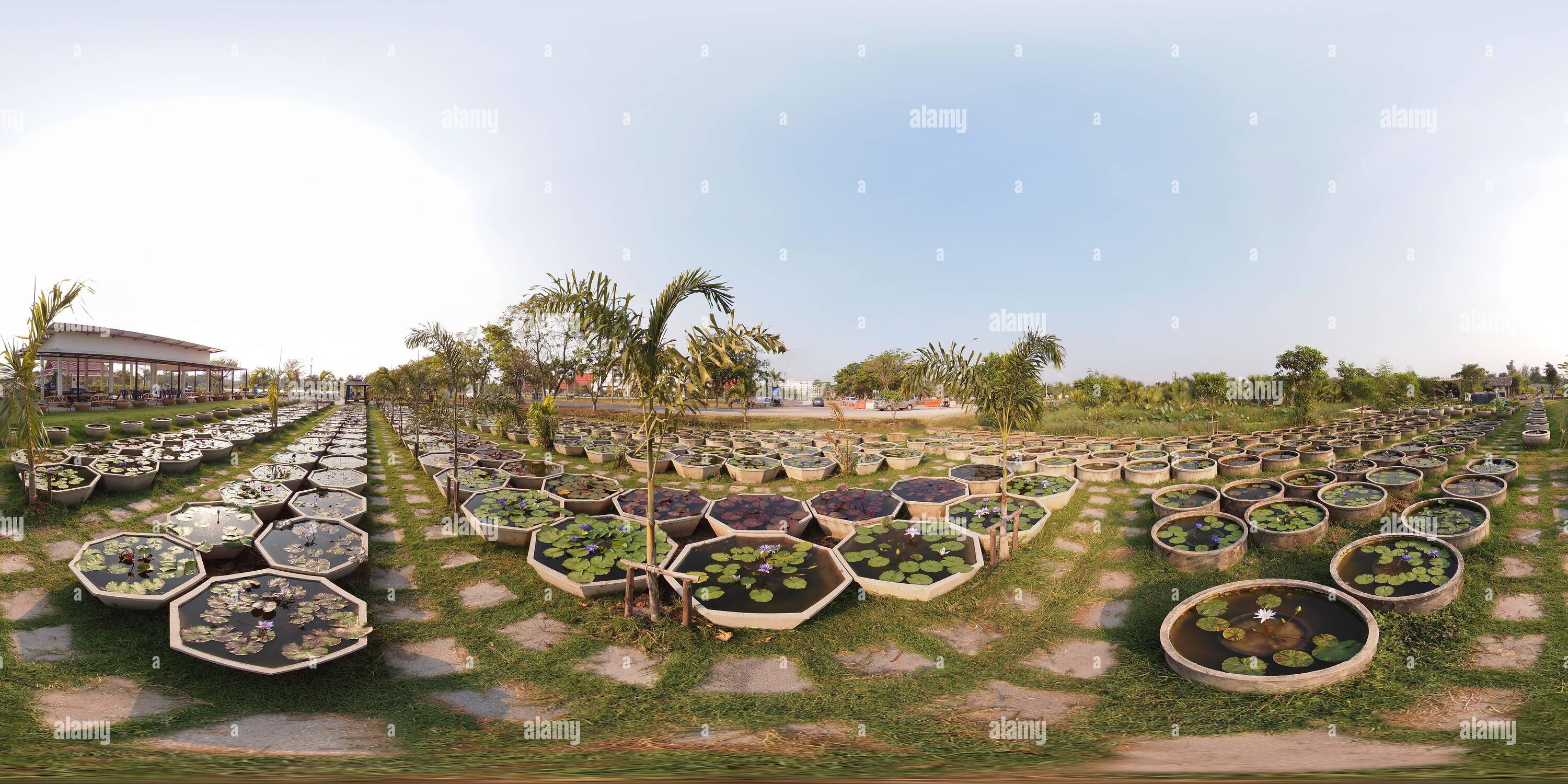 360° view of Lotus Museum Thanyaburi 1 - Alamy