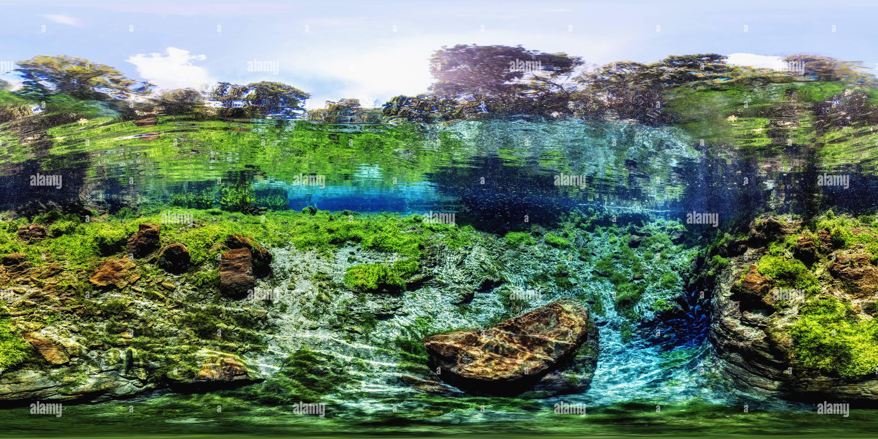 360° view of Blue Water Spring of Bonito River - Alamy