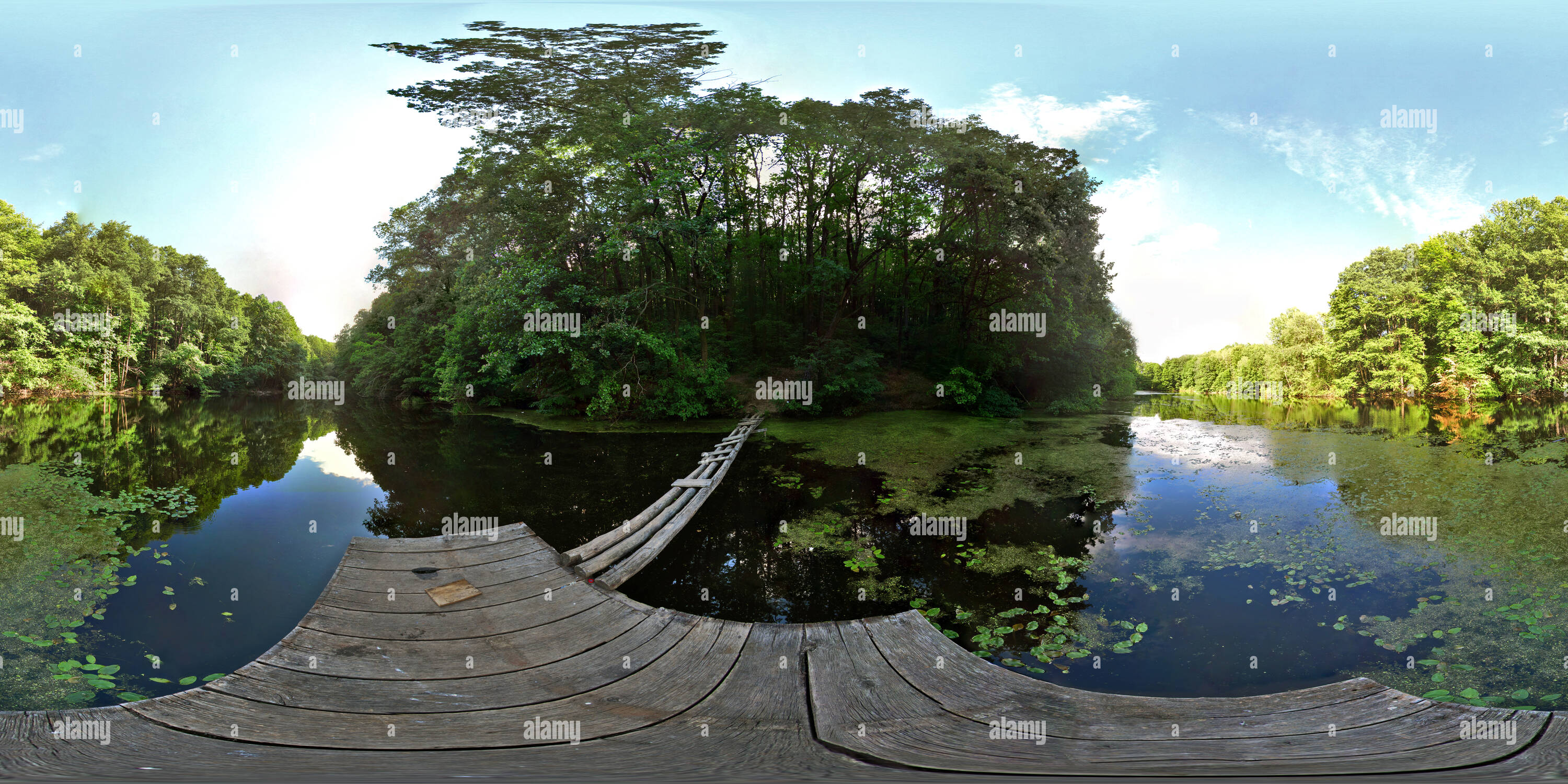 360° view of Small swamp near the Merchik lake - Alamy