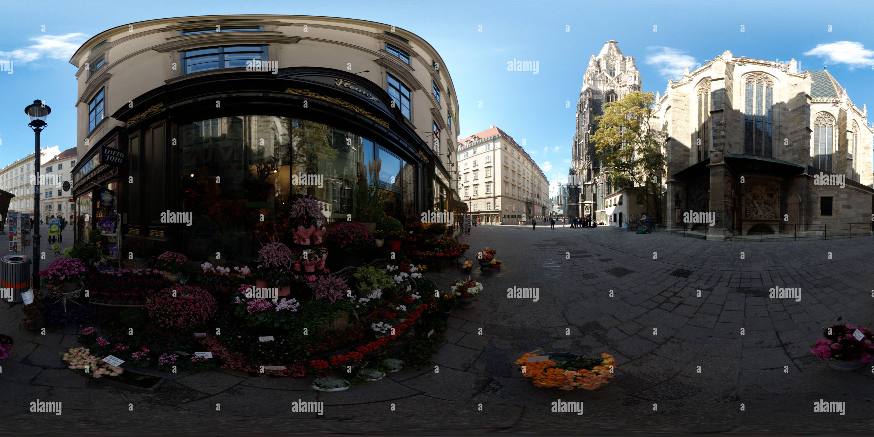 360° view of Vienna Flower Shop behind the St.Stephen's Cathedral - Alamy
