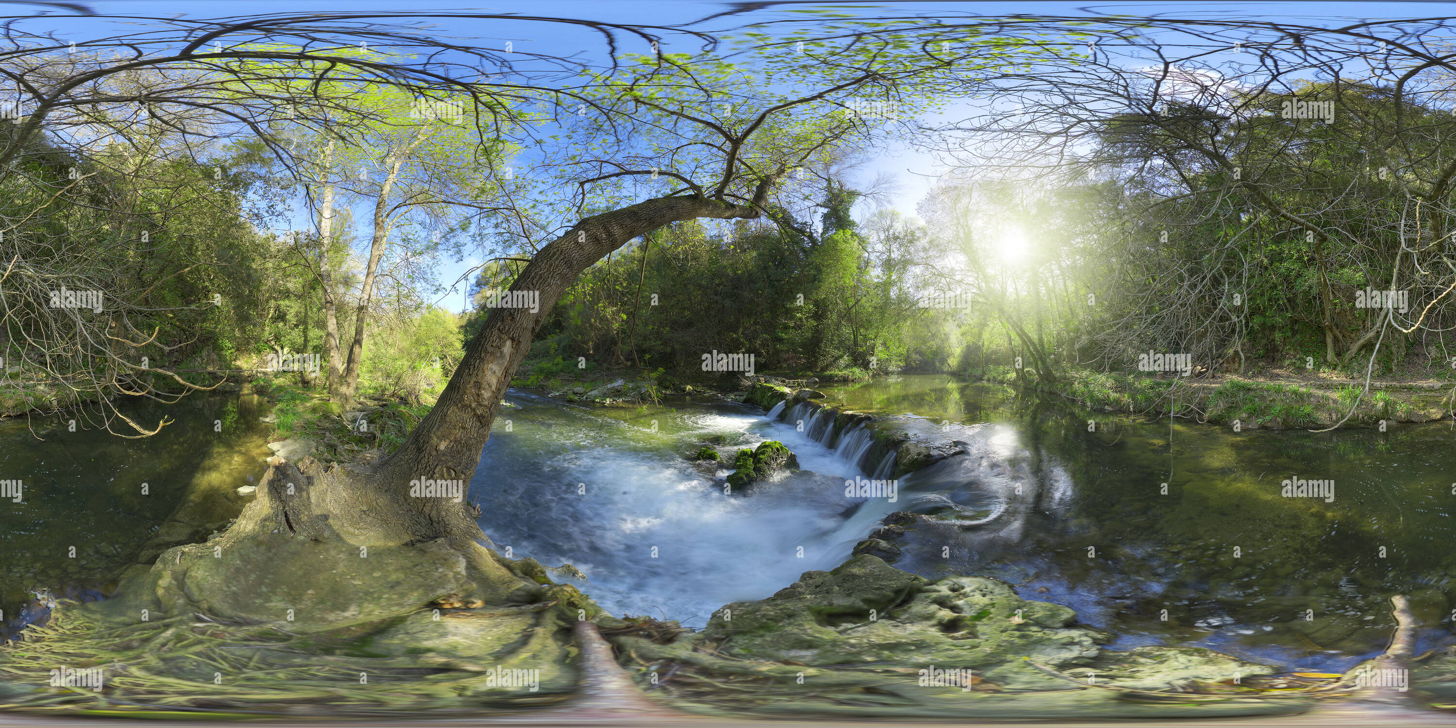 Brague hi-res stock photography and images - Alamy