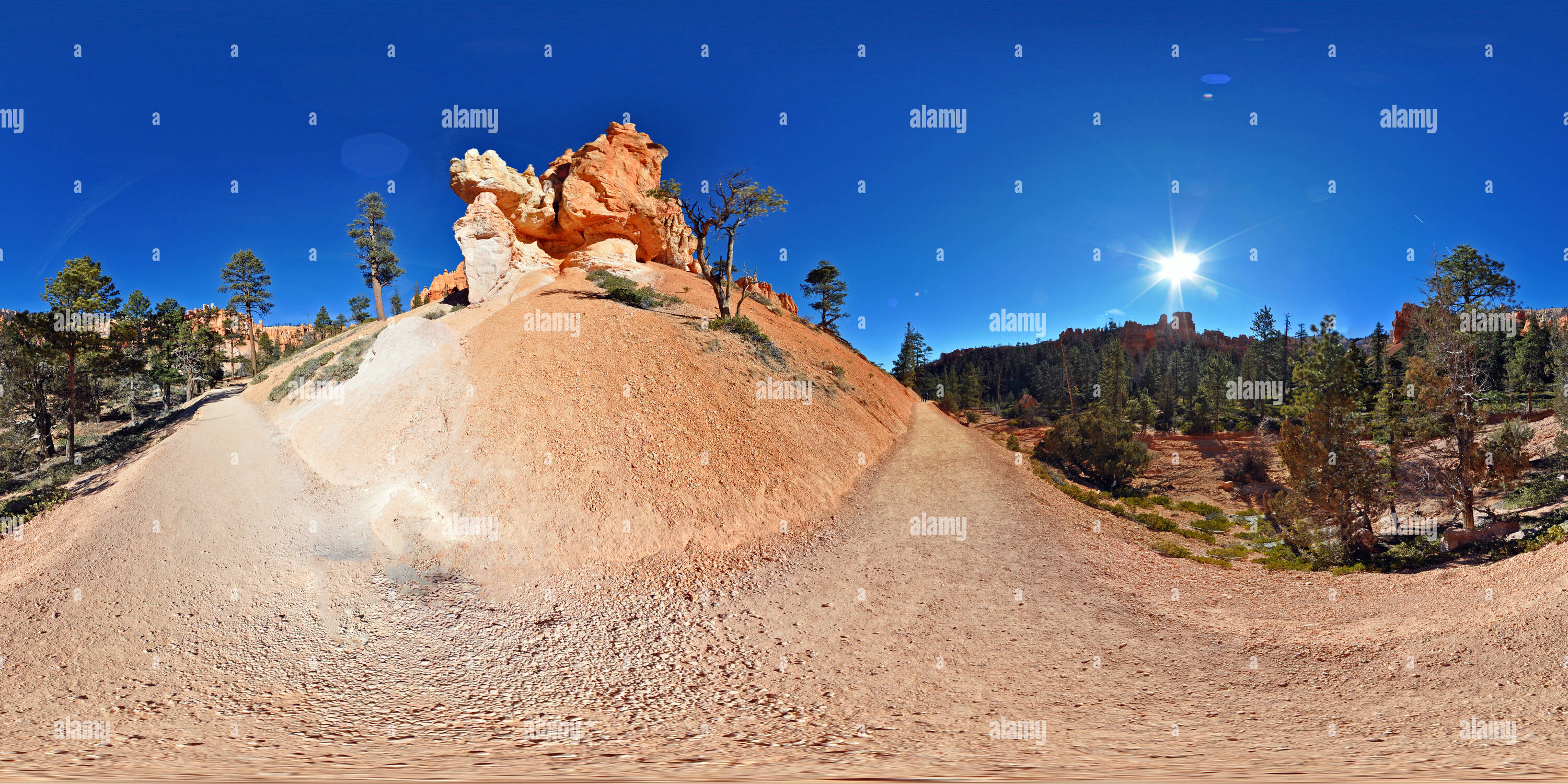 360° view of Bryce Canyon - Navajo Loop Trail 2 - Alamy