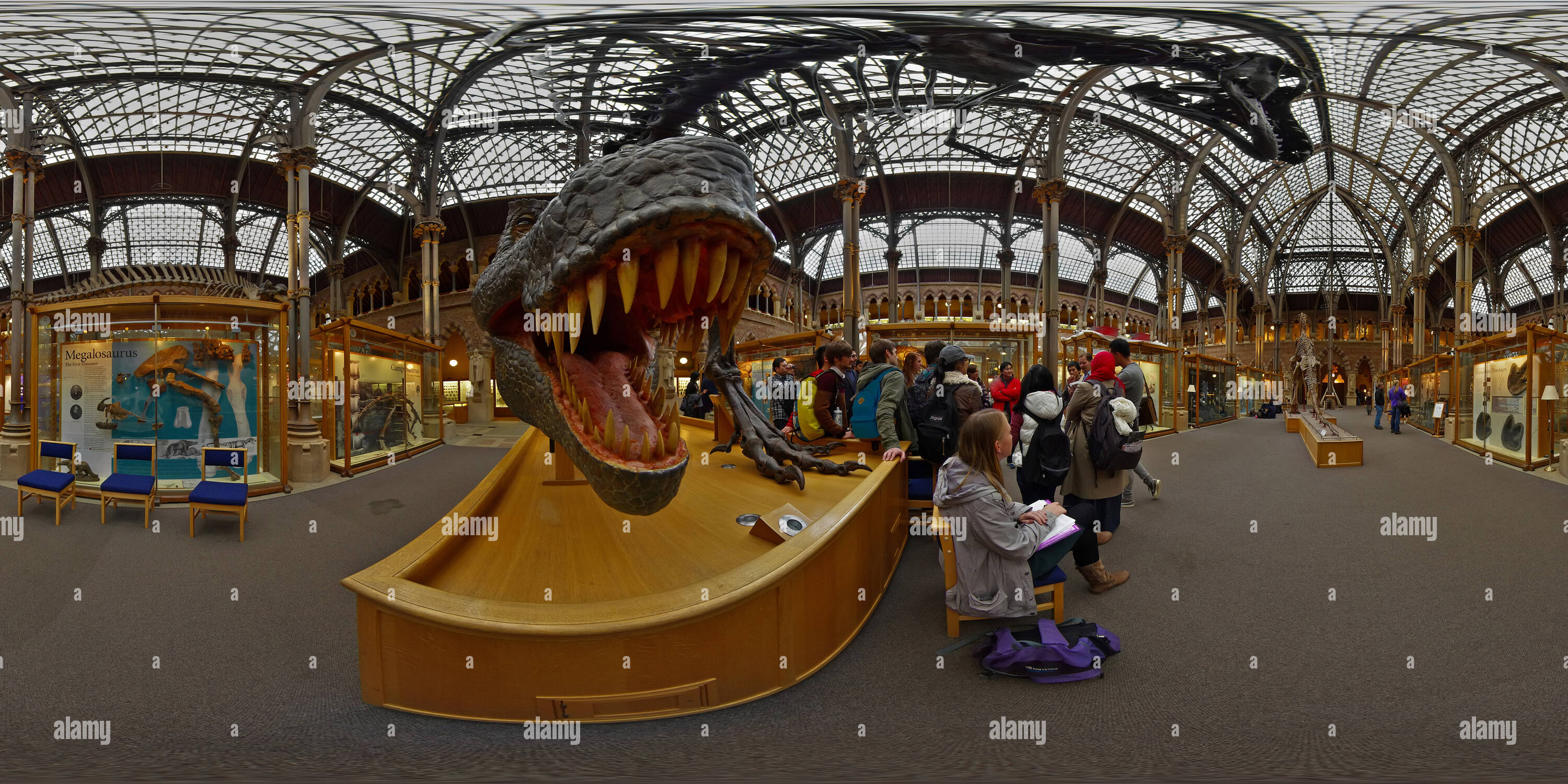 360° view of Dinosaurs teeth - and an amazing roof - Alamy