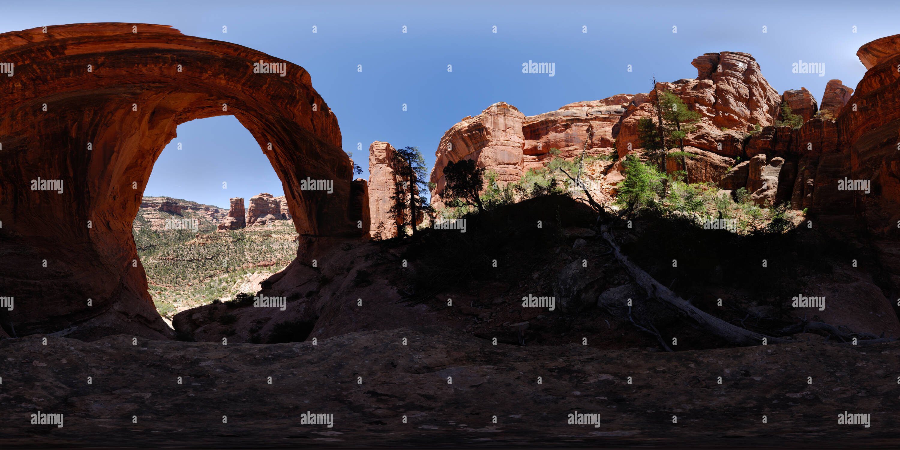 360° view of Cathedral Arch, Inside, Arch Canyon, Utah, USA - Alamy
