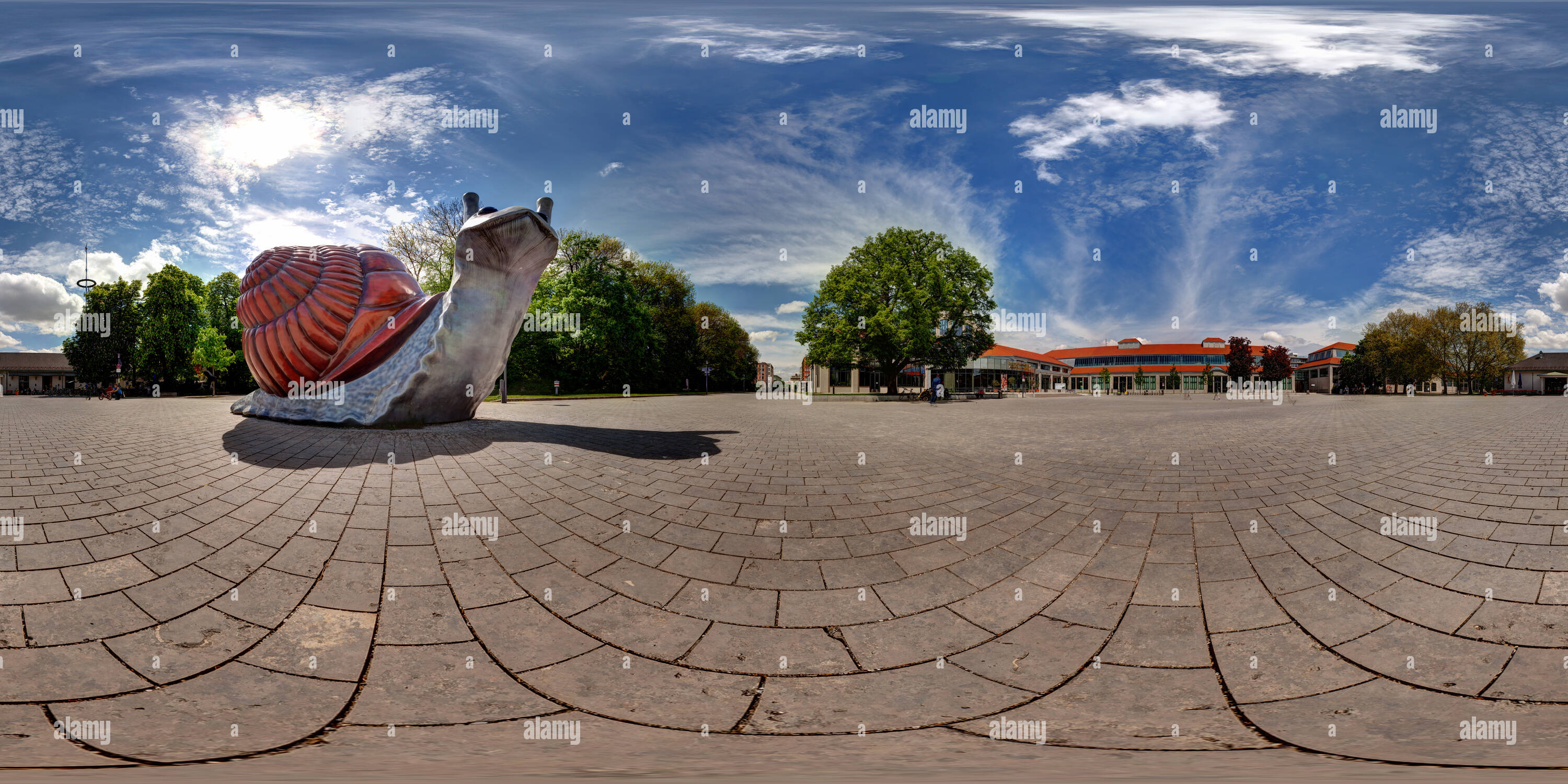 360° view of Sweet Brown Snail - Alamy