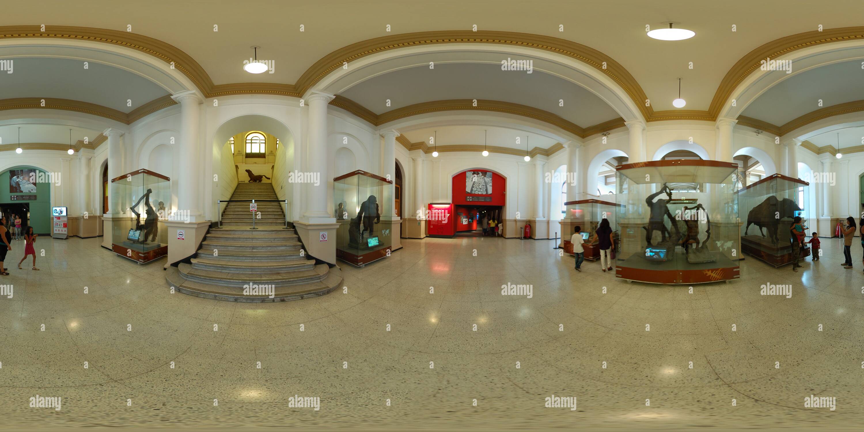 360° view of Interior National Museum of Natural History - Quinta ...