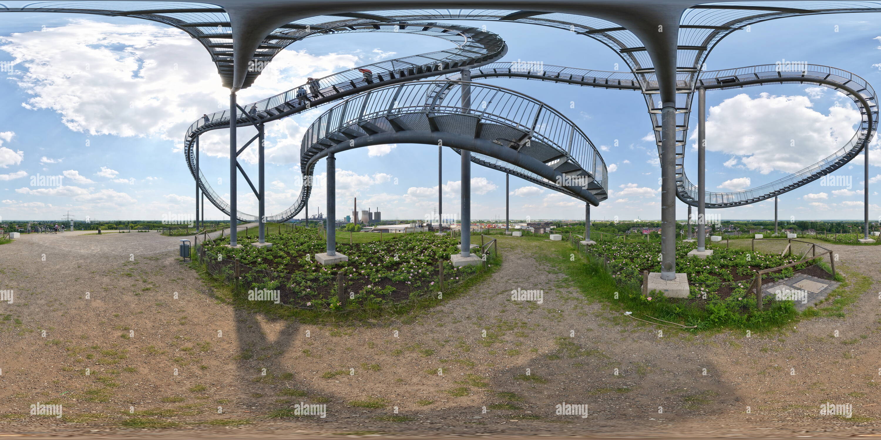 360° view of Tiger and Turtle - Alamy