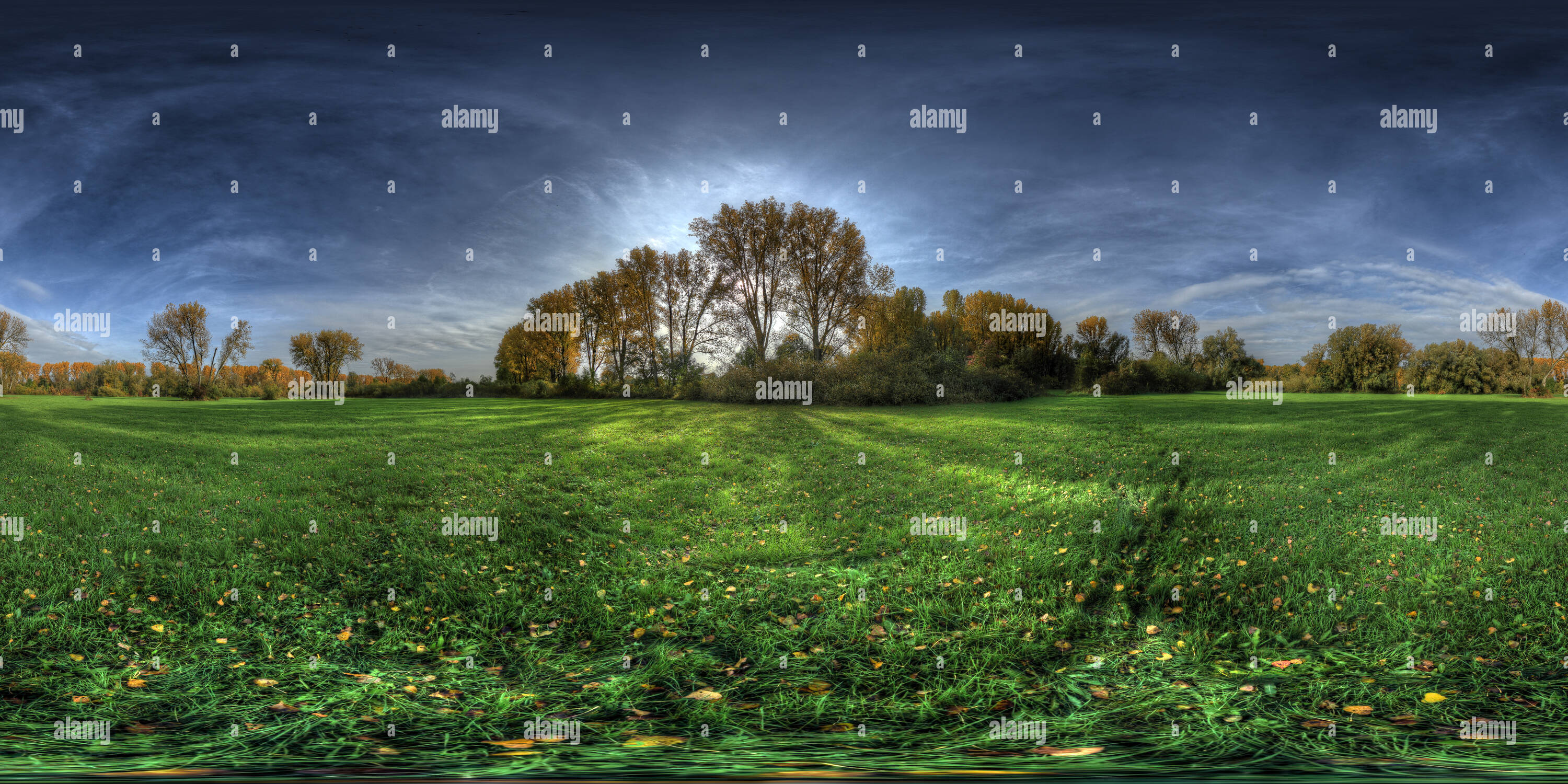 360° view of Autumn Urdenbacher Kaempe - Alamy