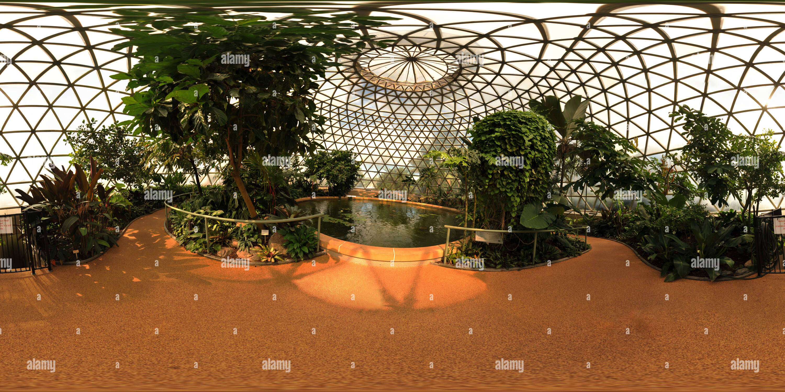 360° view of Botanic Gardens Tropical Hothouse - Alamy