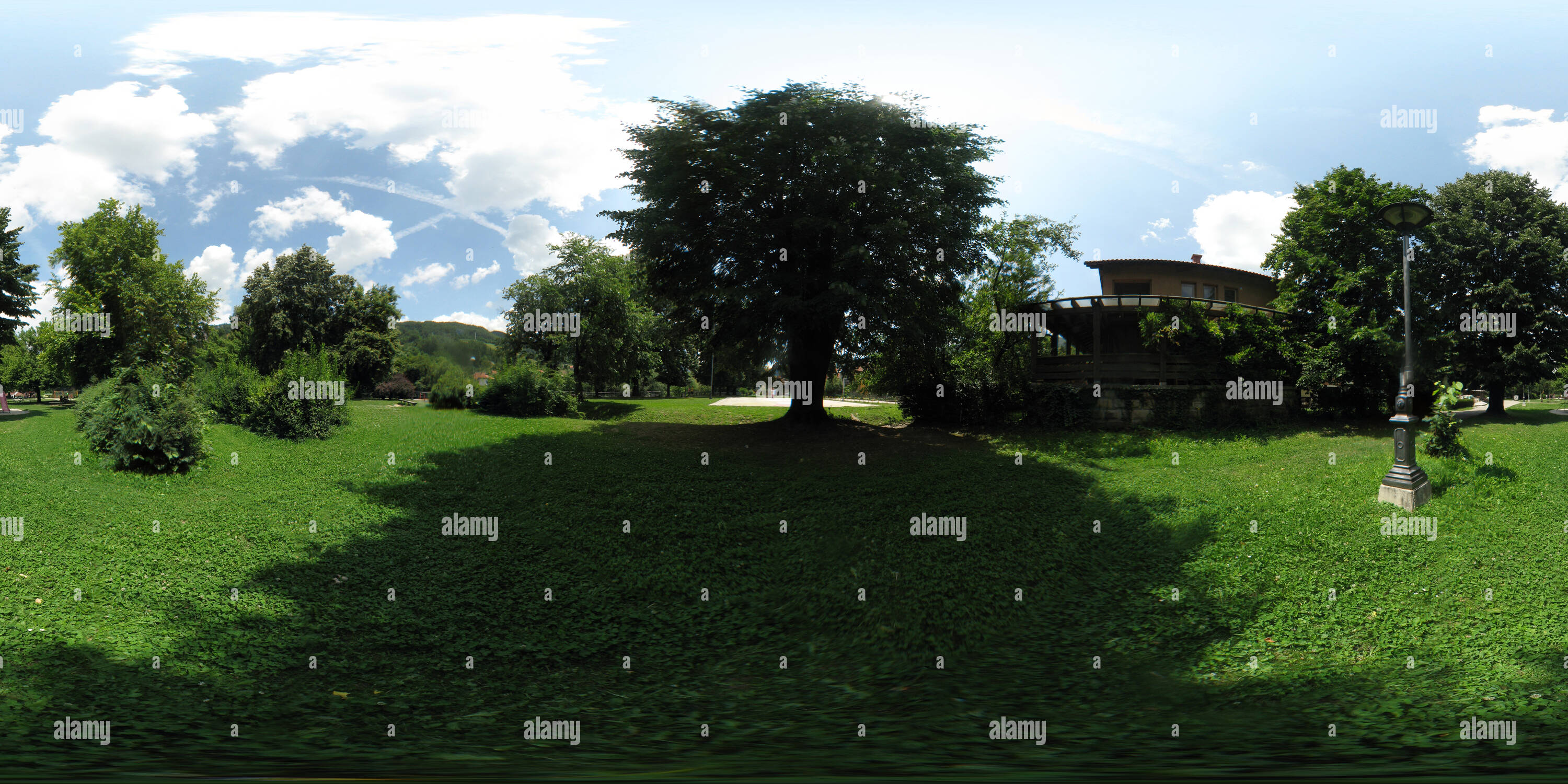 Large linden tree park ivanjica srbija serbia hi-res stock photography ...