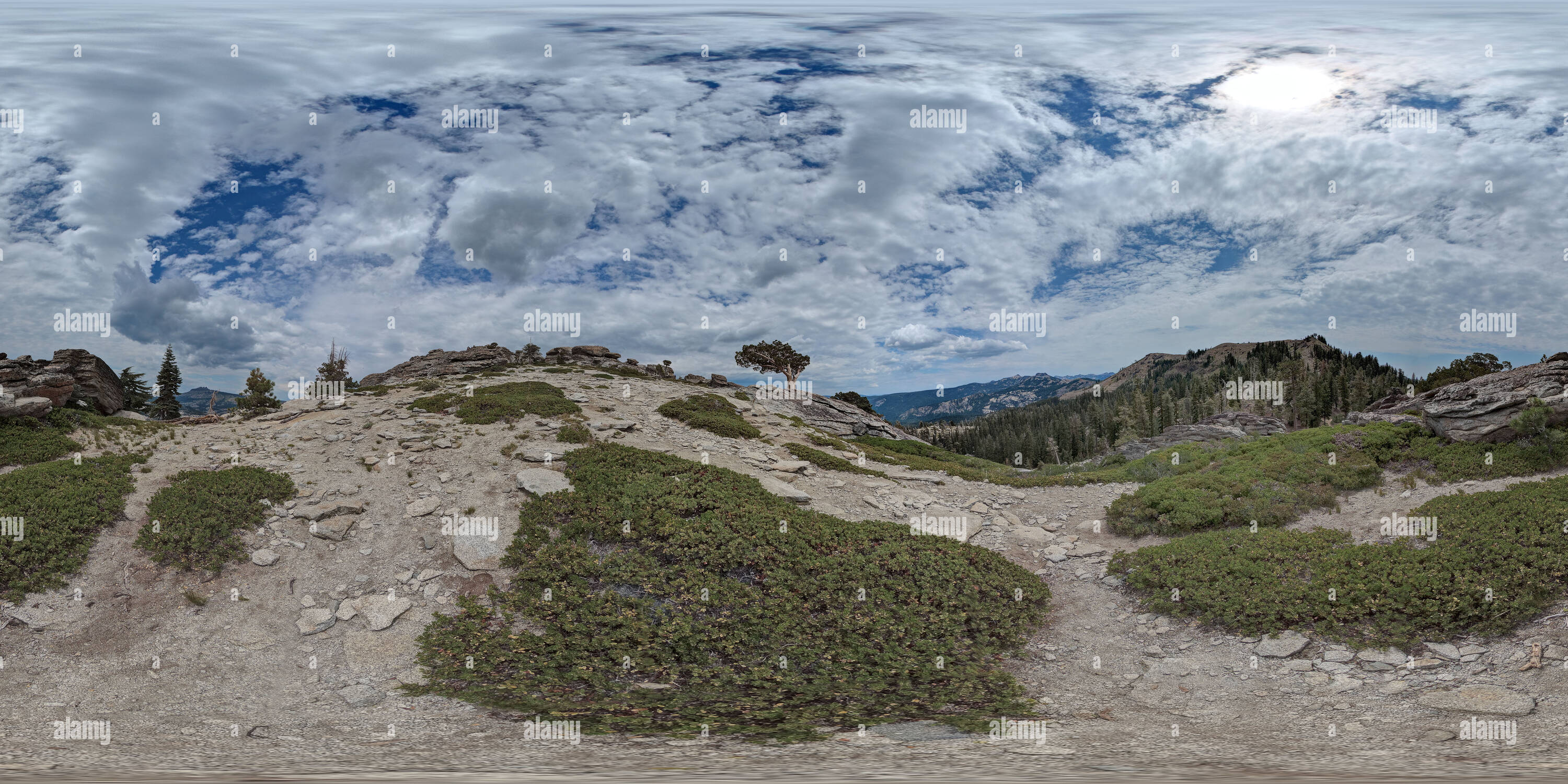 360° view of Pine Tree on the ascent to Donner Peak Summit - Alamy